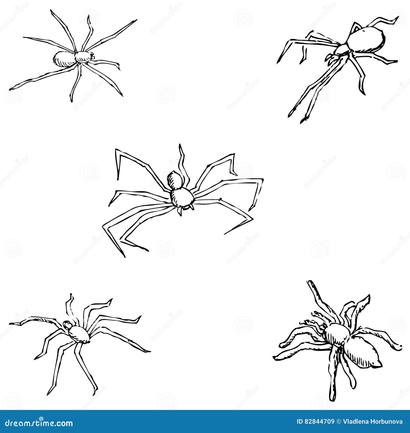 Spiders. a sketch by hand stock vector. Illustration of draw - 82844709