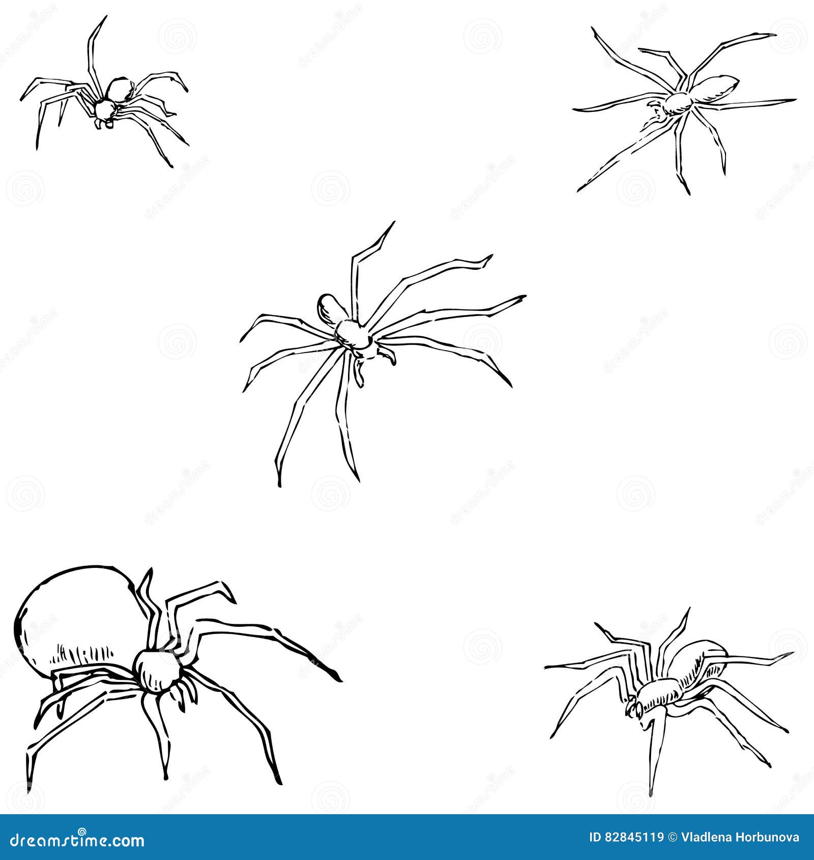 Spiders. a sketch by hand stock vector. Illustration of design - 82845119