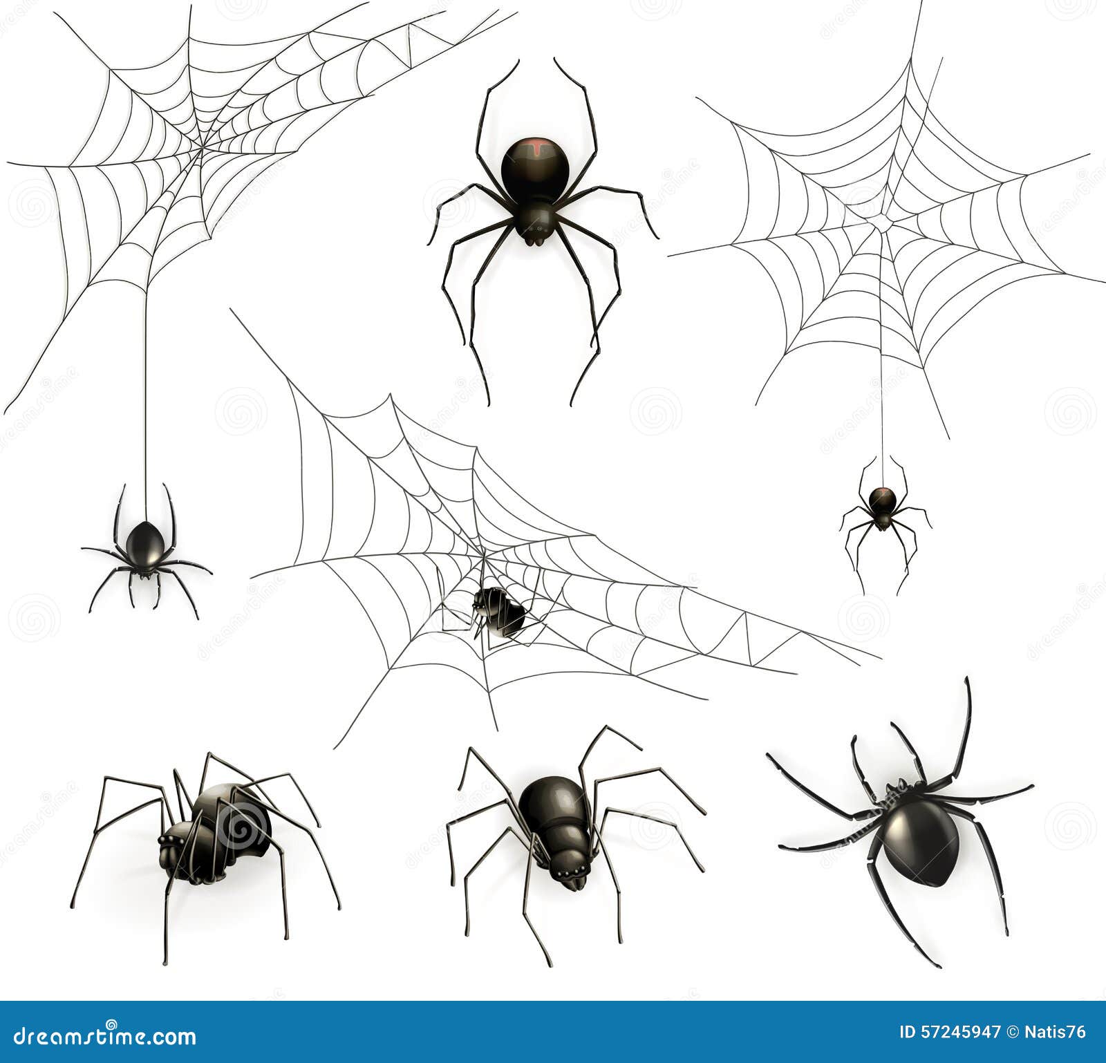 Spiders. Vector Illustration | CartoonDealer.com #55243824