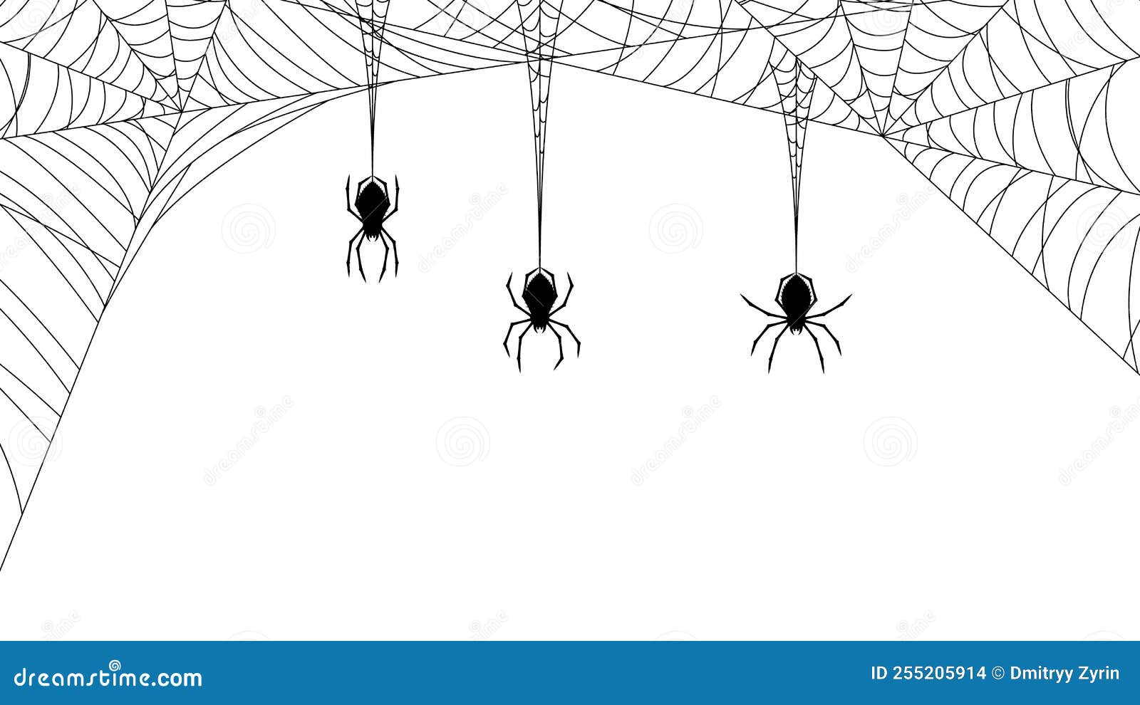 Spiders on Web with White Background. Halloween Background Design ...