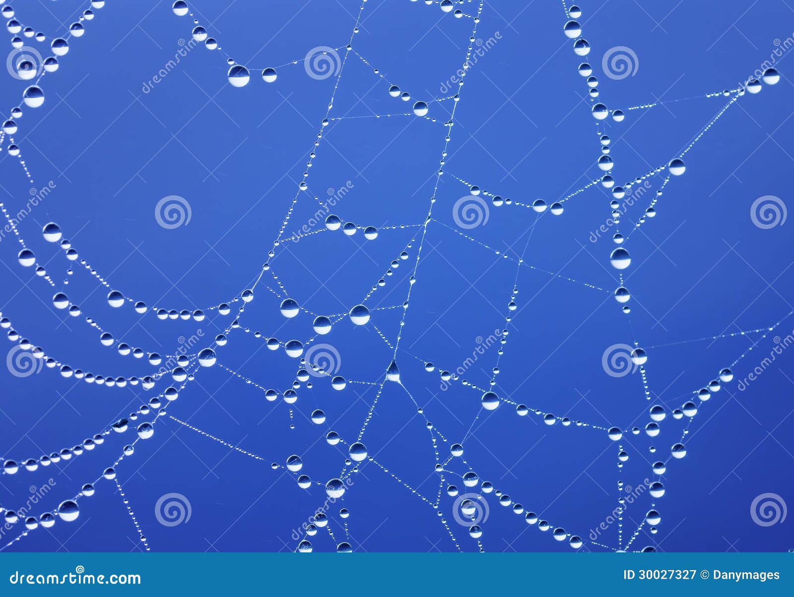 Spiderweb stock image. Image of water, bubble, blue, spiders - 30027327