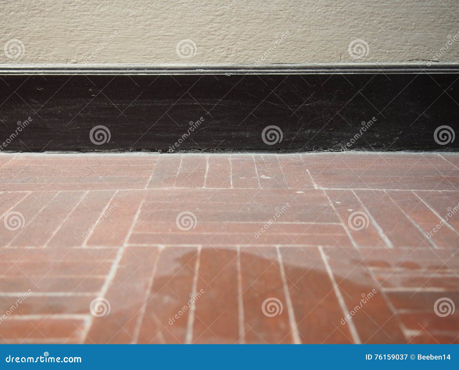 Spiderweb, Dust on Wood Parquet Floor Stock Image - Image of dust ...