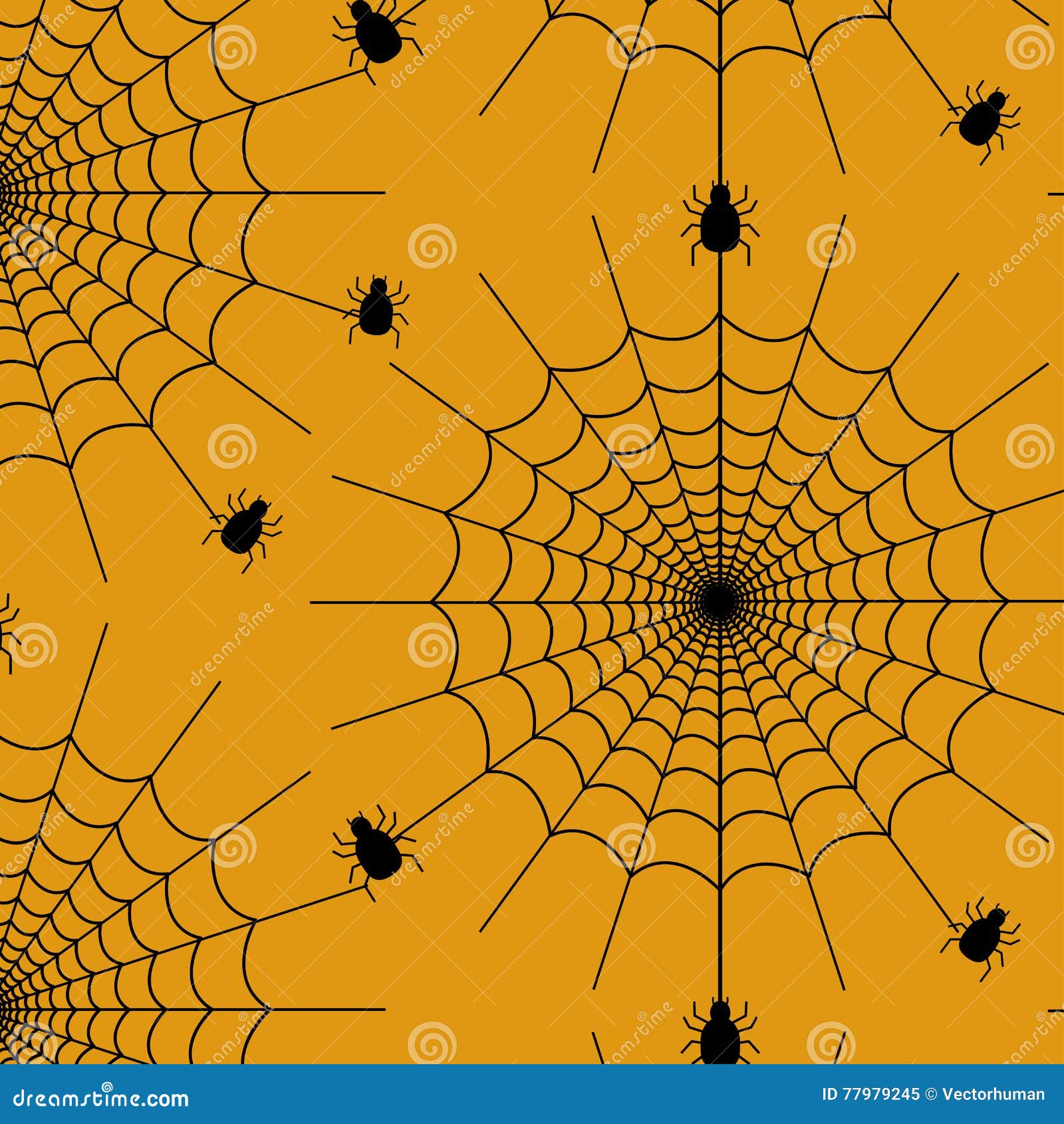 Spiderweb pattern stock vector. Illustration of danger - 77979245