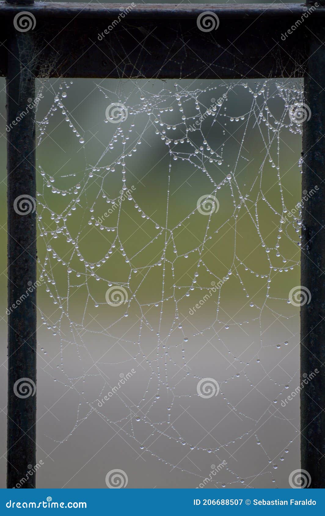 Spiderweb in the Shape of a Square in a Window Stock Image - Image of ...