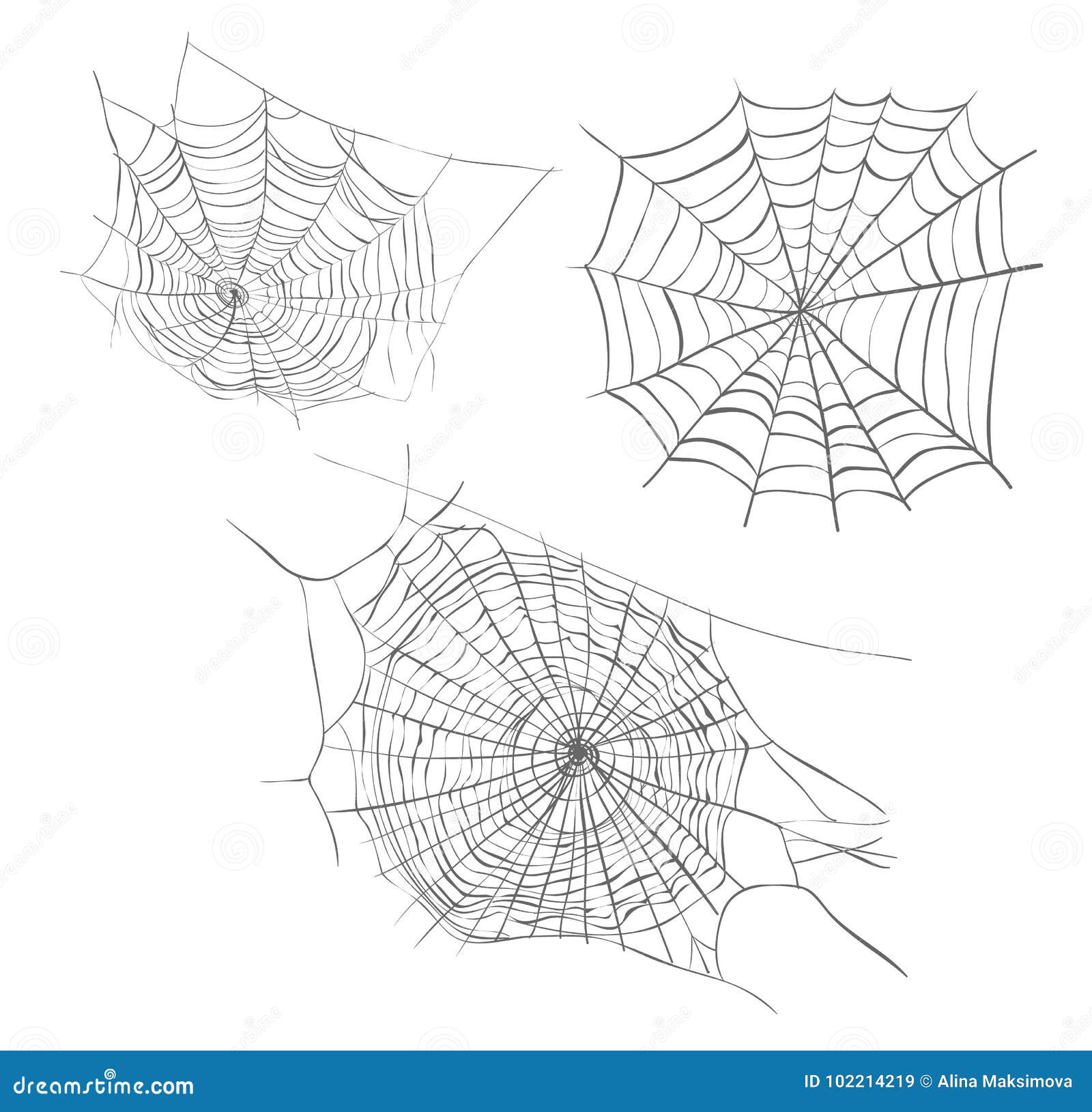 Spiderweb Sketch Vector Illustration. Stock Vector - Illustration of ...
