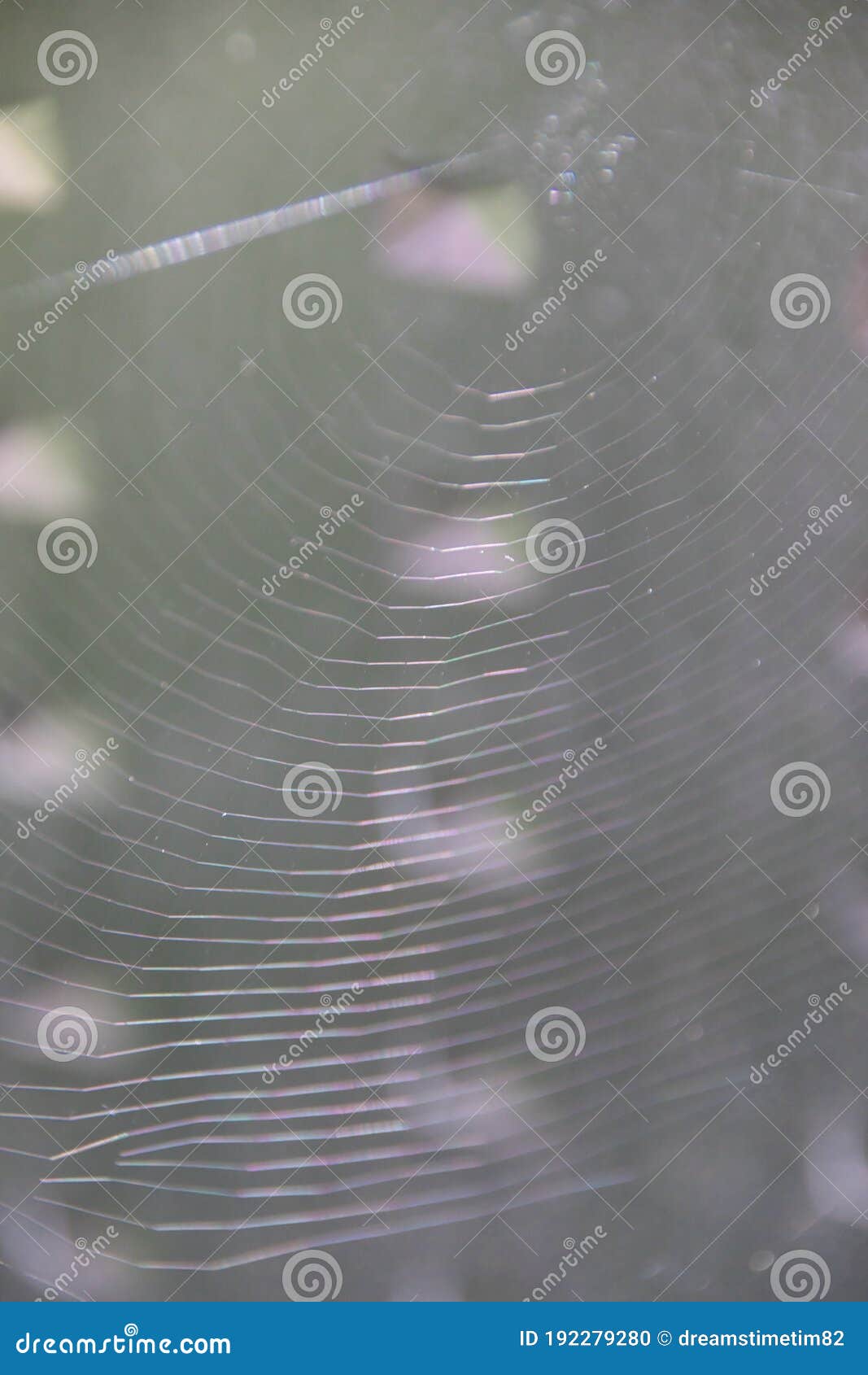 Spiderwebs in Sunlight in Front of Stainless Steel Stock Photo - Image ...