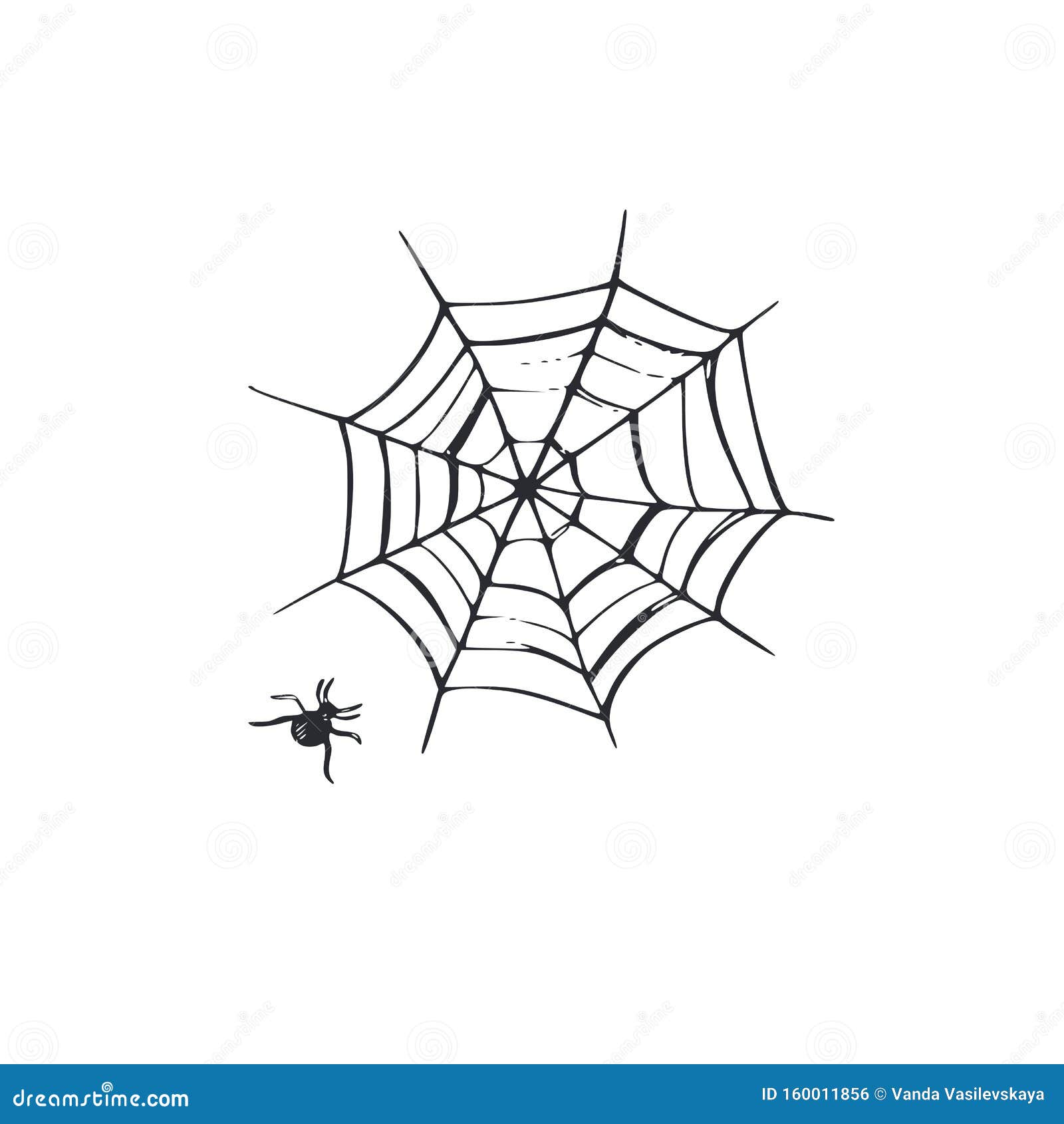 Spiderweb Vector Hand Drawn Cartoon Illustration. Sketch Stock Vector ...