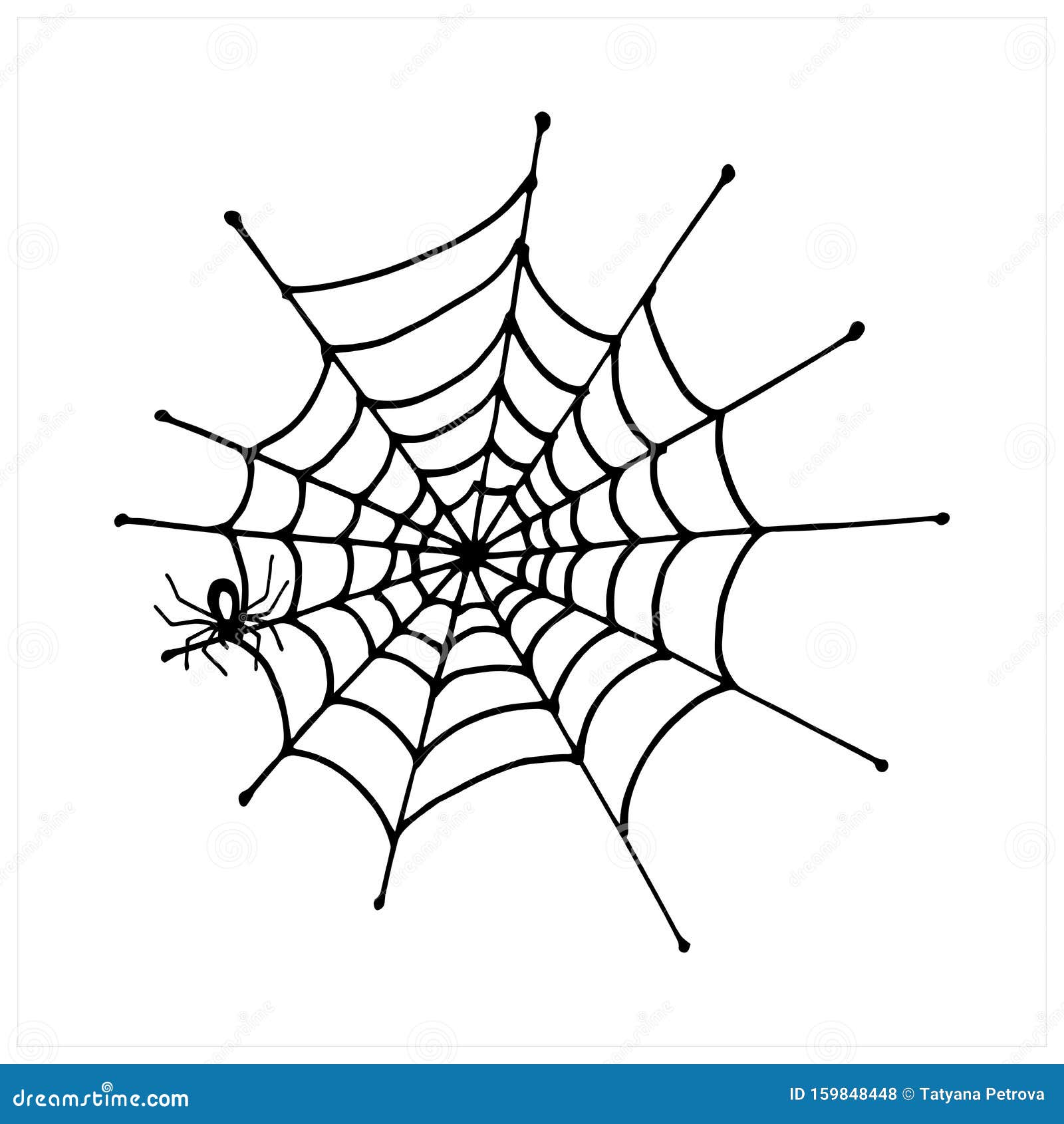 Spiderweb. Vector, Isolated on White Background. Black and White. Stock ...