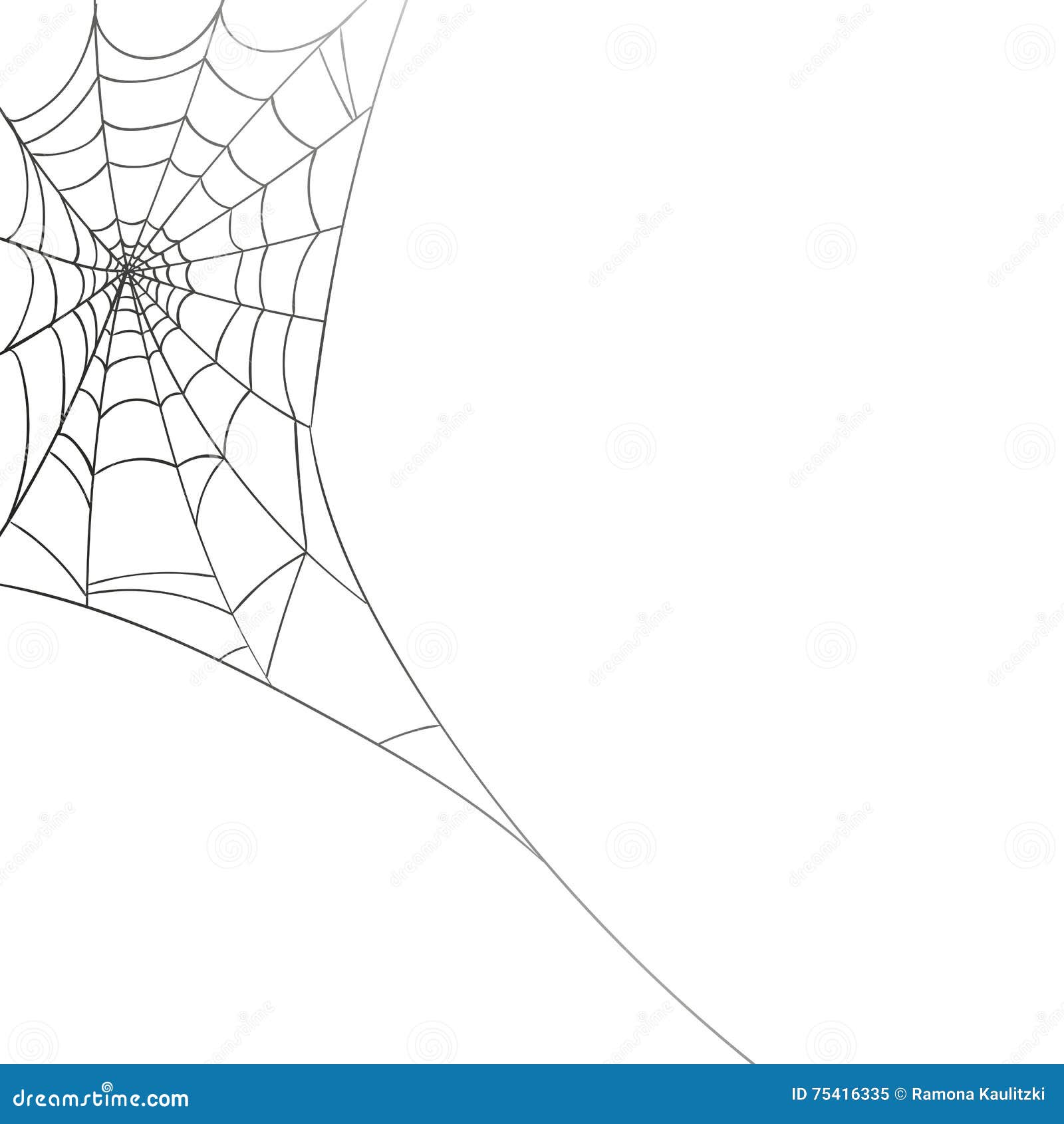 Spiderweb on a White Background Stock Illustration - Illustration of ...