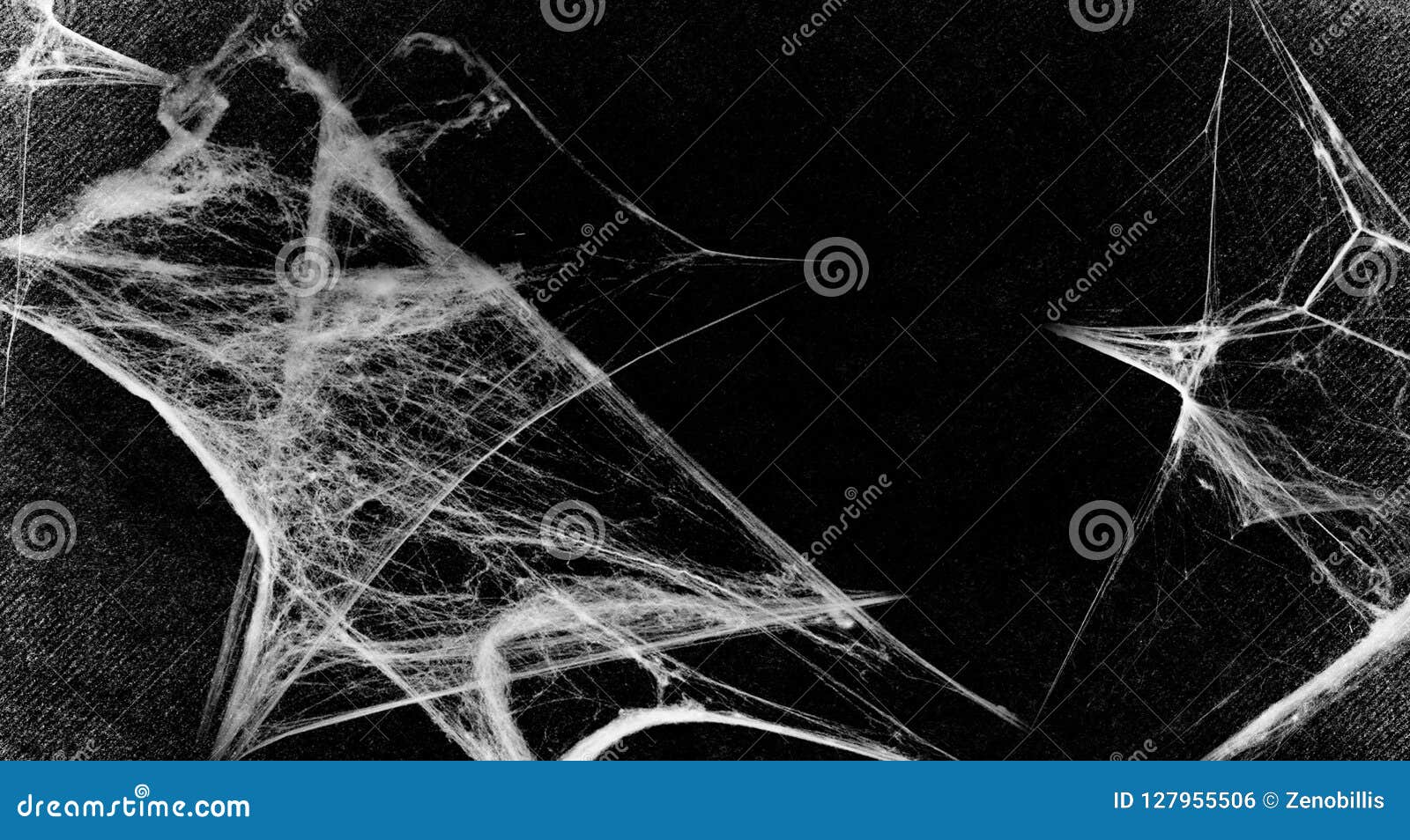 Spiderwebs Isolated On Black Grunge Background Cobweb In The Corner