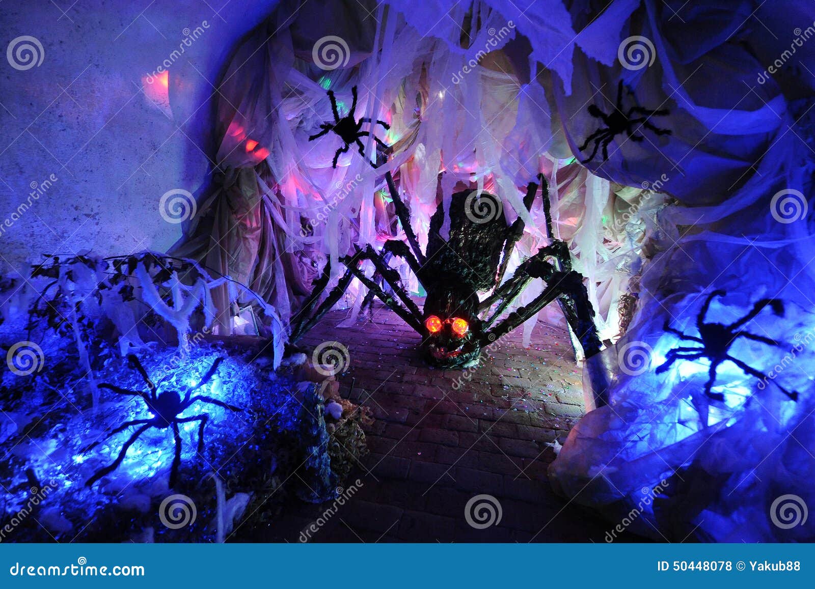 Spidery nest stock photo. Image of nest, nide, phobia - 50448078