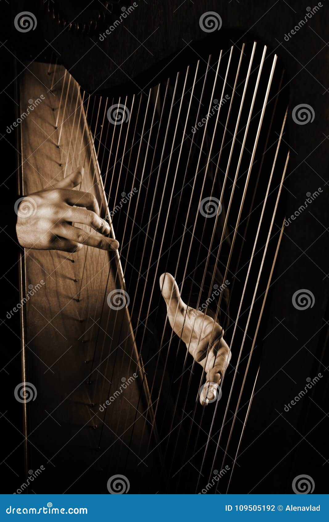 Spielen Der Harfe Stock-Fotos - Laden Sie 287 Royalty-Free Fotos herunter