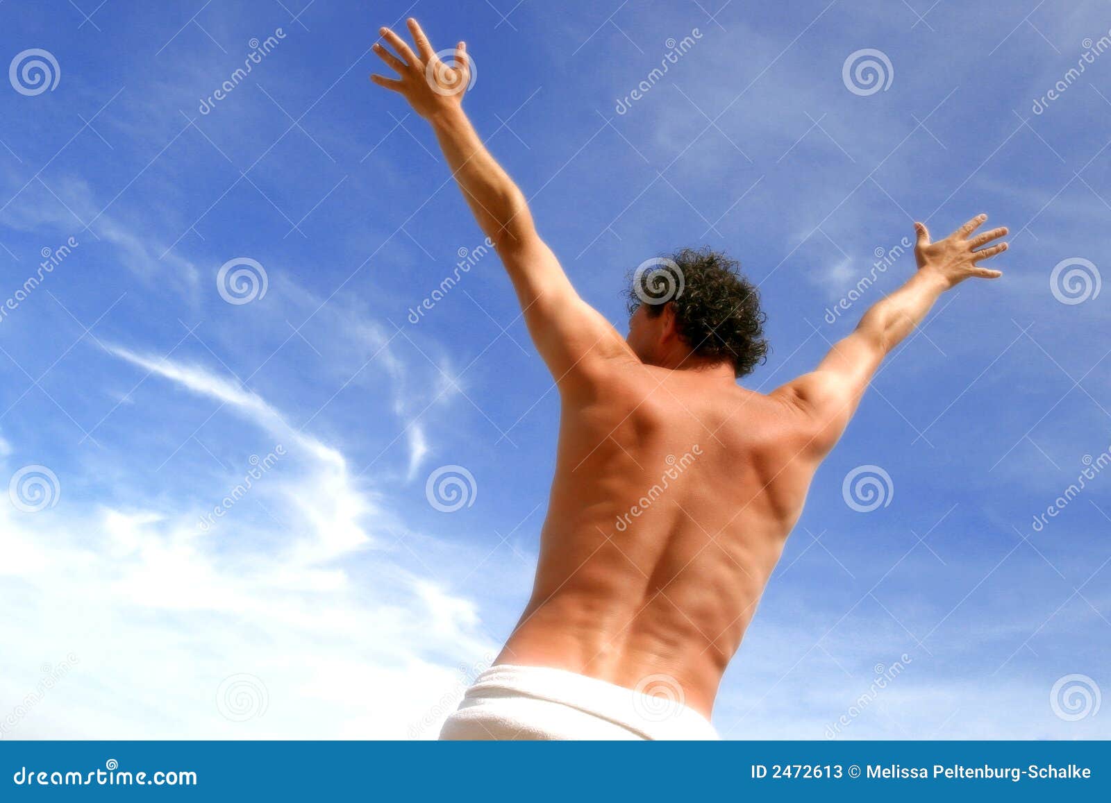 Spier mannelijk torso stock afbeelding. Image of atletisch - 2472613