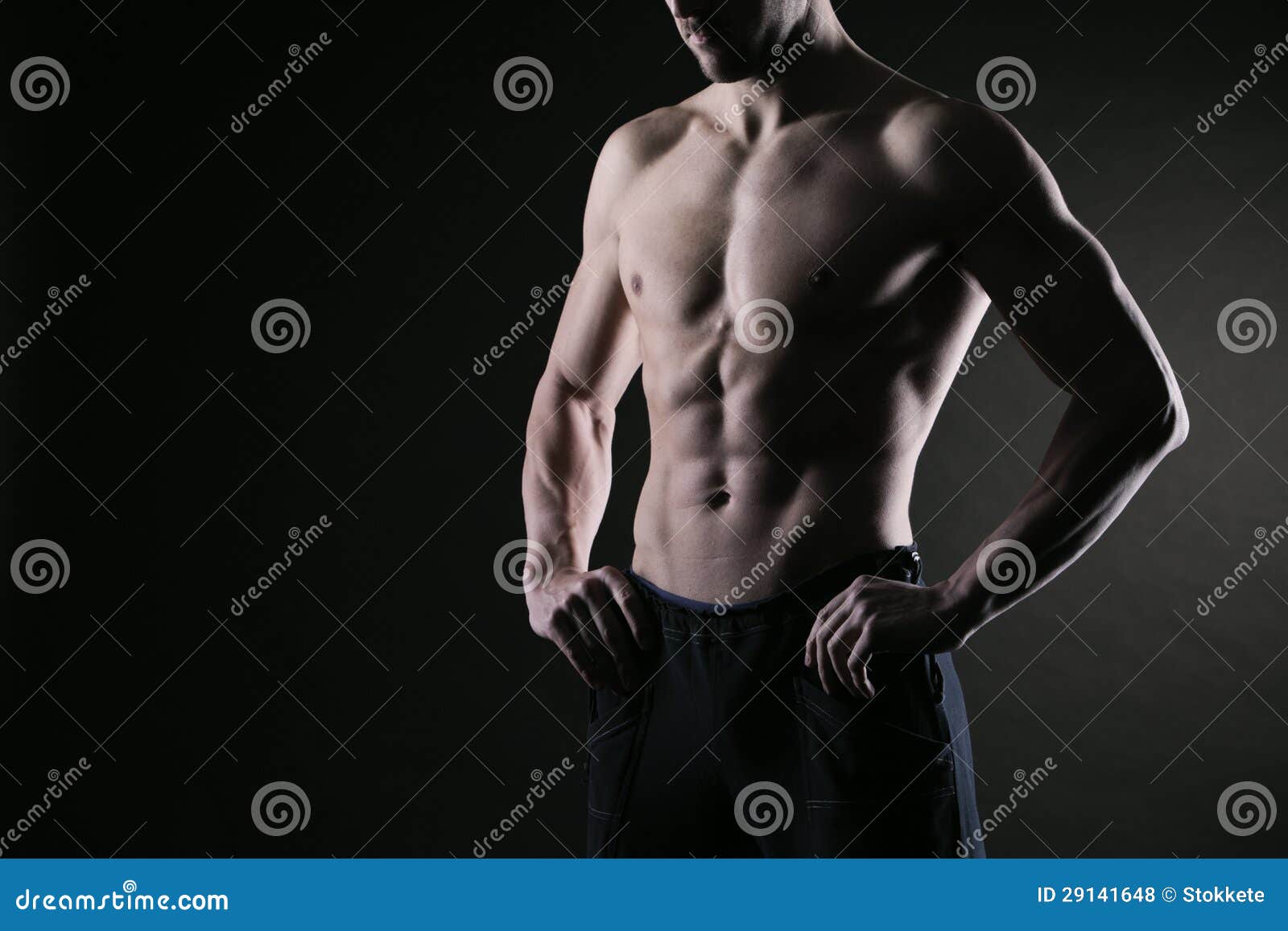 Spier mannelijk torso stock foto. Image of donker, kaukasisch - 29141648