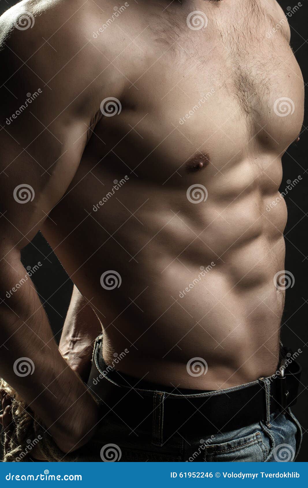 Spier mannelijk torso stock foto. Image of anatomie, mannelijk - 61952246