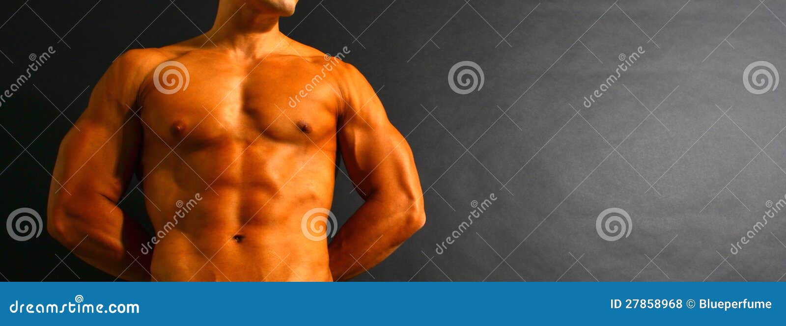 Spier Torso stock foto. Image of borst, bouw, menselijk - 27858968