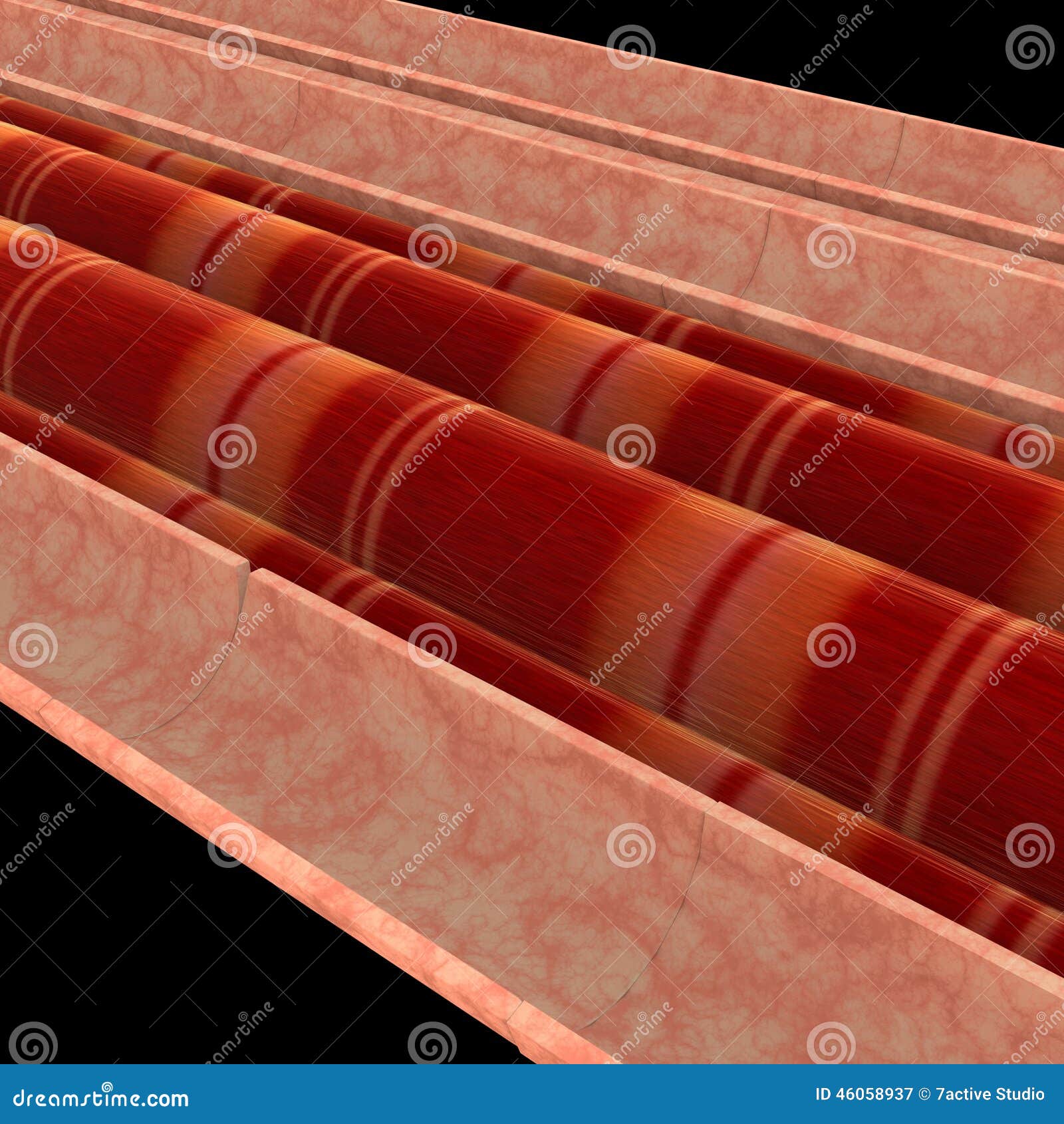 Spiercellen stock afbeelding. Image of geïsoleerd, gezond - 46058937