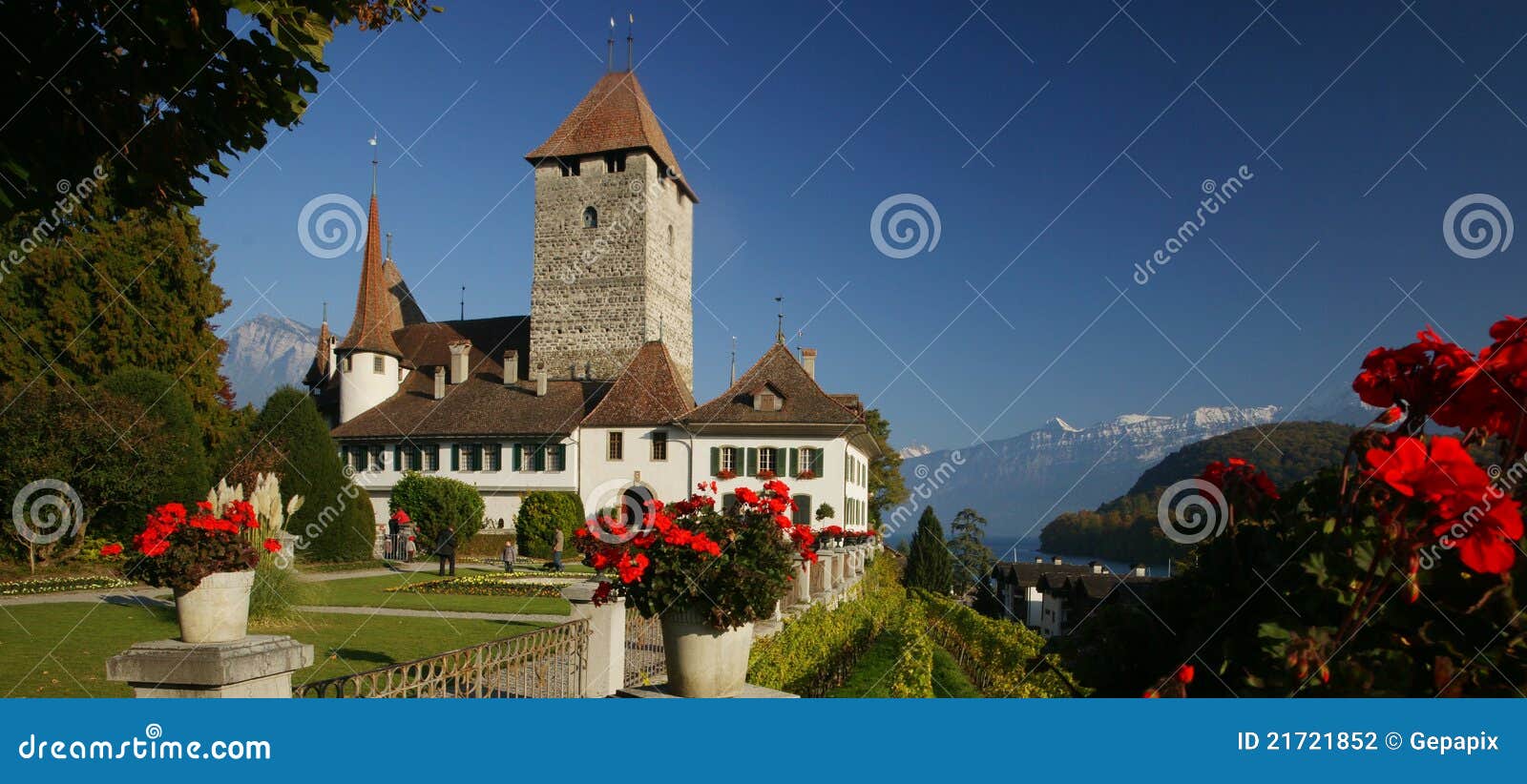 Spiez Castle stock photo. Image of mountains, lake, swiss - 21721852