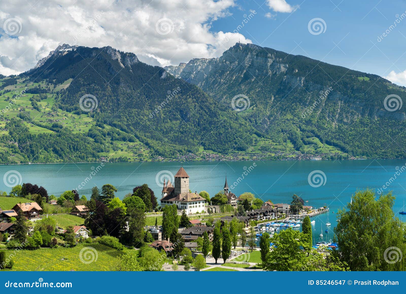 Spiez Castle on Lake Thun in Bern, Switzerland. Stock Image - Image of ...