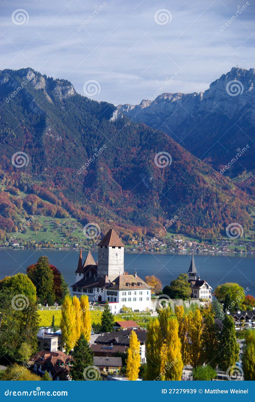 Spiez Castle in Switzerland Stock Image - Image of landscape ...