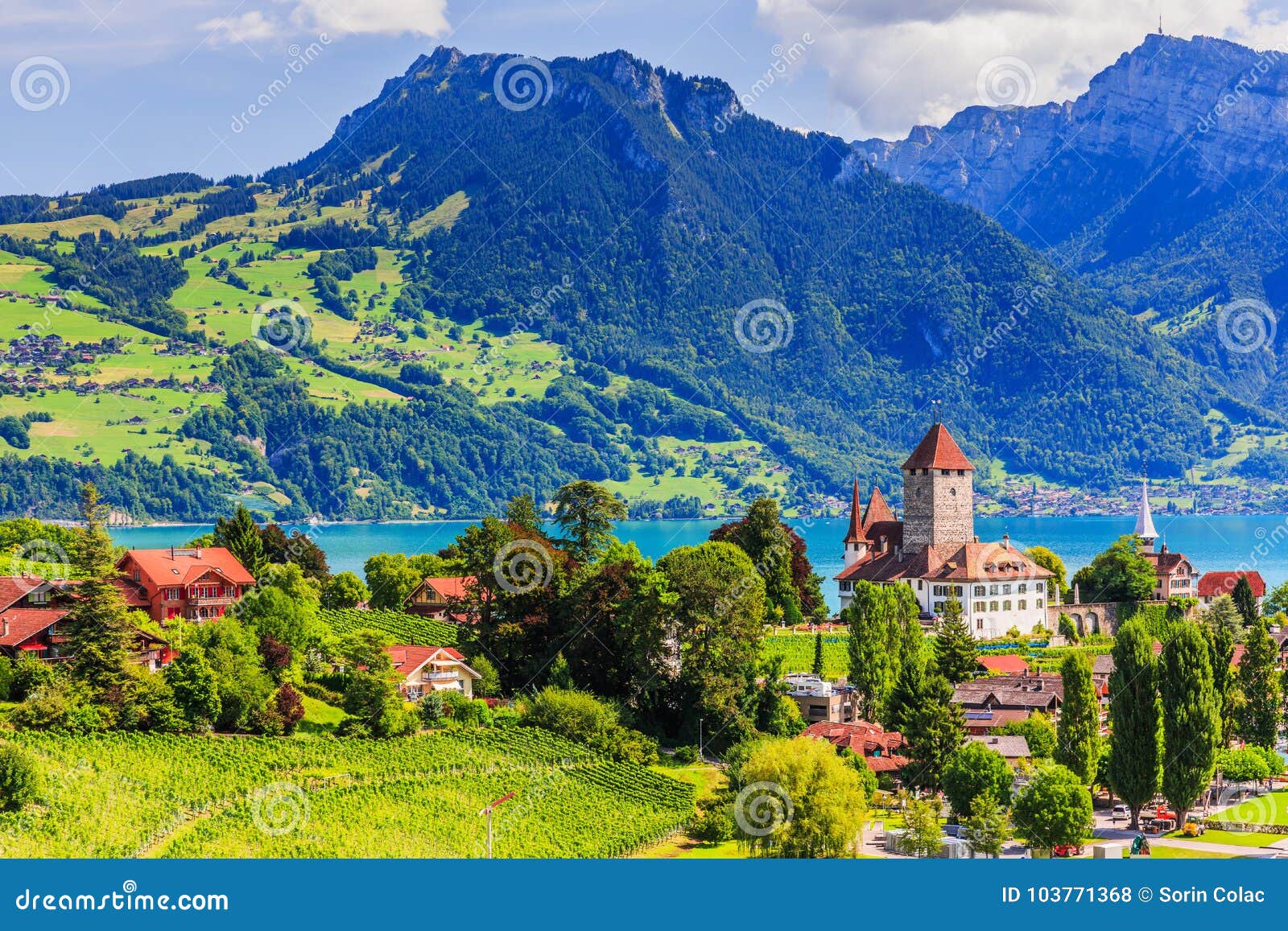 Spiez, Suiza foto de archivo. Imagen de lago, torre - 103771368