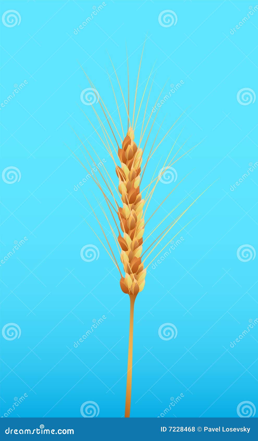 Spike vector stock vector. Illustration of flourishes - 7228468