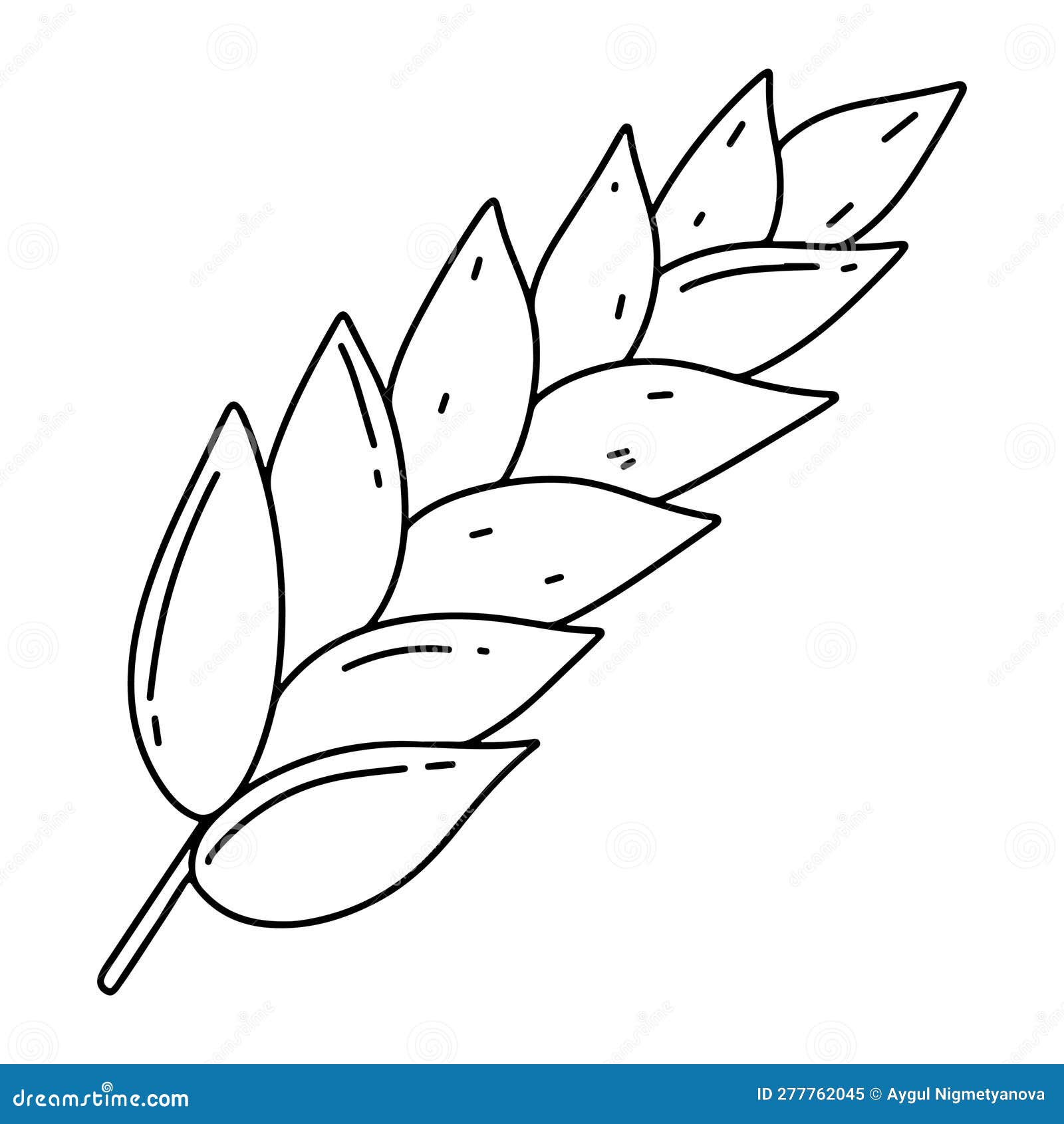 Spikelet in Hand Drawn Doodle Style. Vector Illustration Isolated on ...
