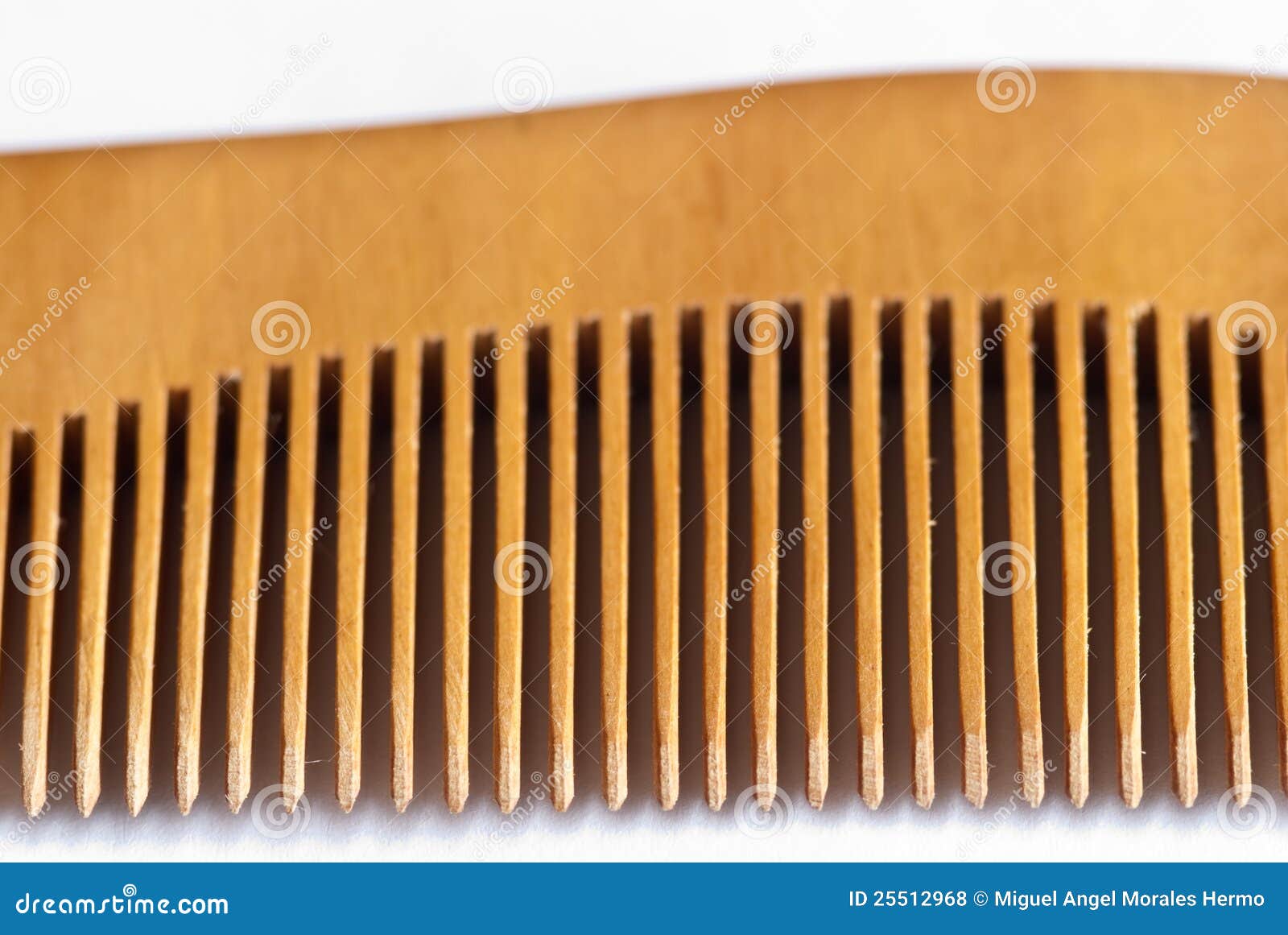 Spikes stock photo. Image of parallel, macro, comb, tapered - 25512968
