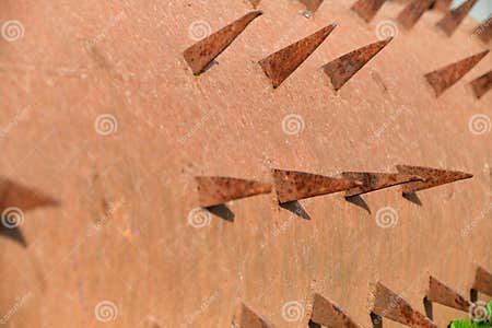 Spikes Texture, Spike Metal Rusty Aged Surface Stock Photo - Image of ...