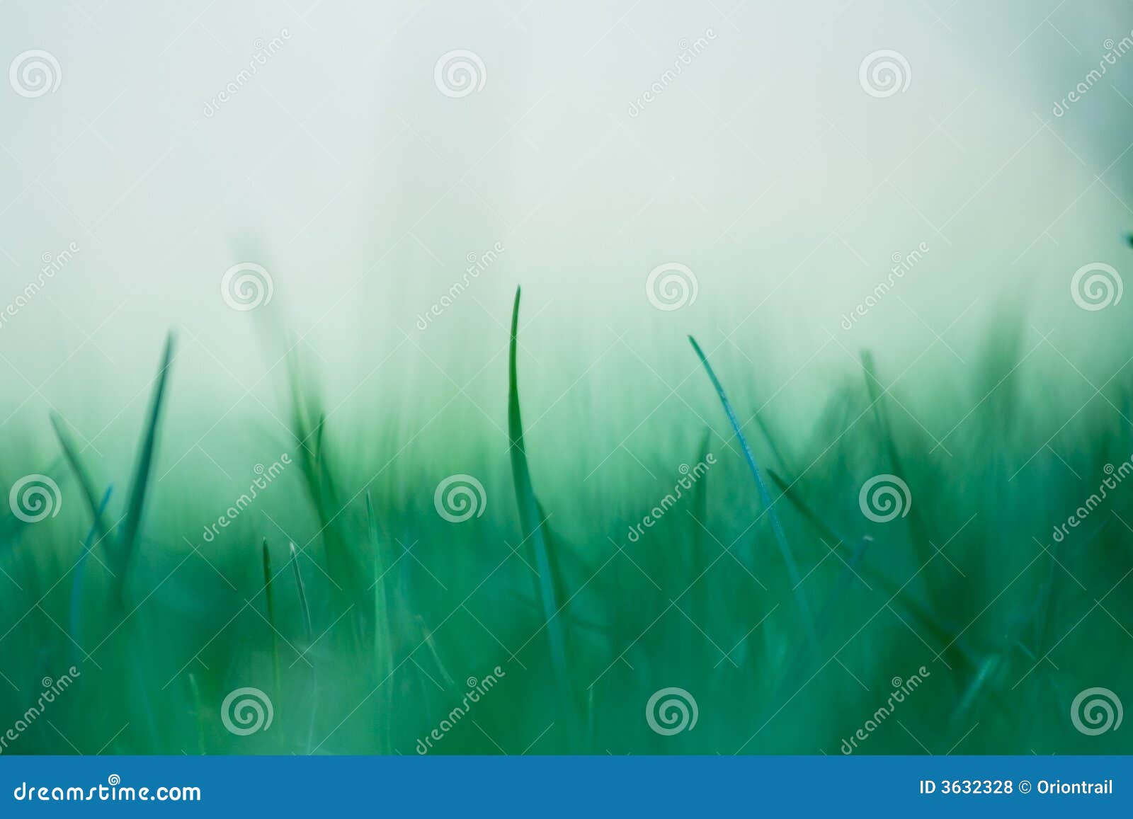 6,227 Grass Zoom Stock Photos - Free & Royalty-Free Stock Photos from ...