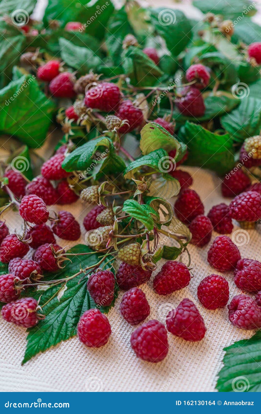 Spilled Berries of Red Raspberries Together with Leaves on the Table ...