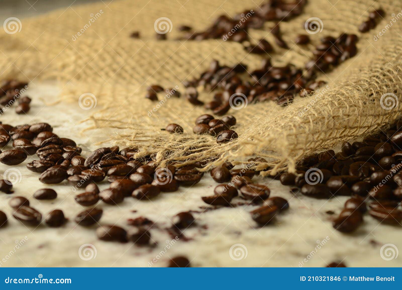 Spilled Coffee Beans stock photo. Image of bean, espresso - 210321846