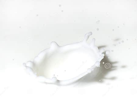 Spilled Milk stock photo. Image of splash, shadows, speed - 1516770