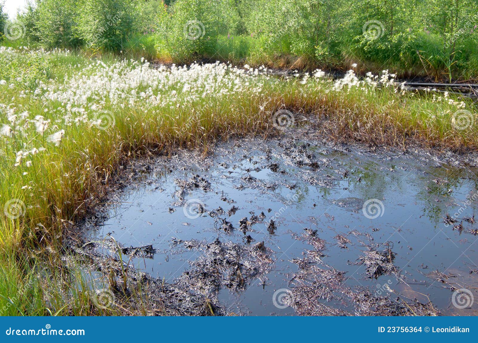 Nature Contaminant - Pipe For Wastewater Among Green Grass On ...
