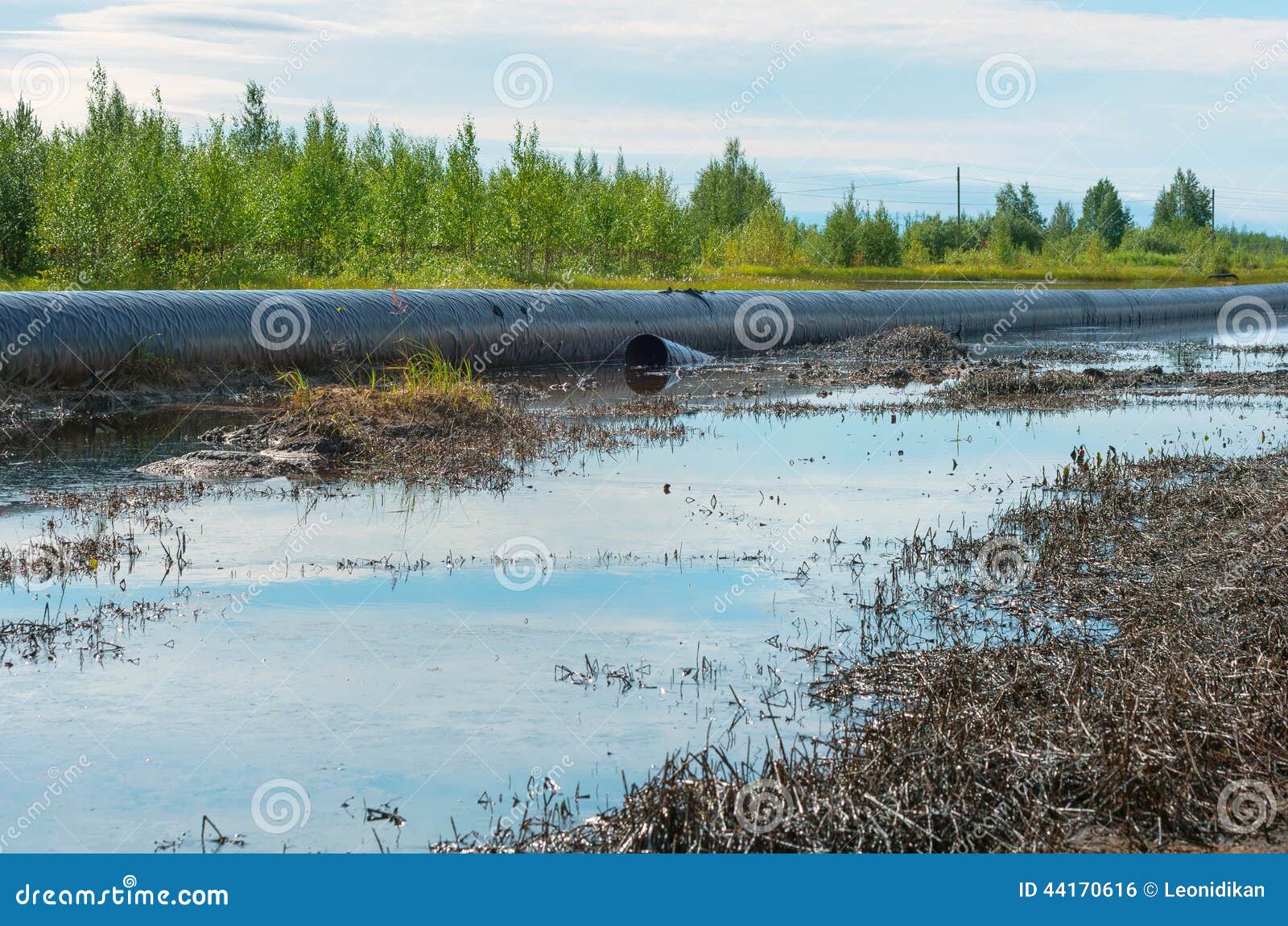 Spilled Oil stock photo. Image of grass, disaster, lake - 44170616