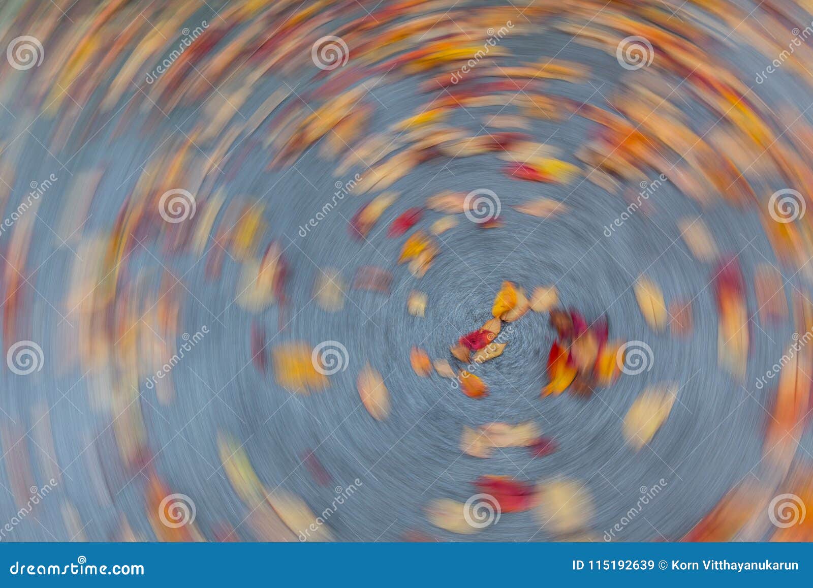 Spin Around Camera Effect Photography Technique Stock Image - Image of ...
