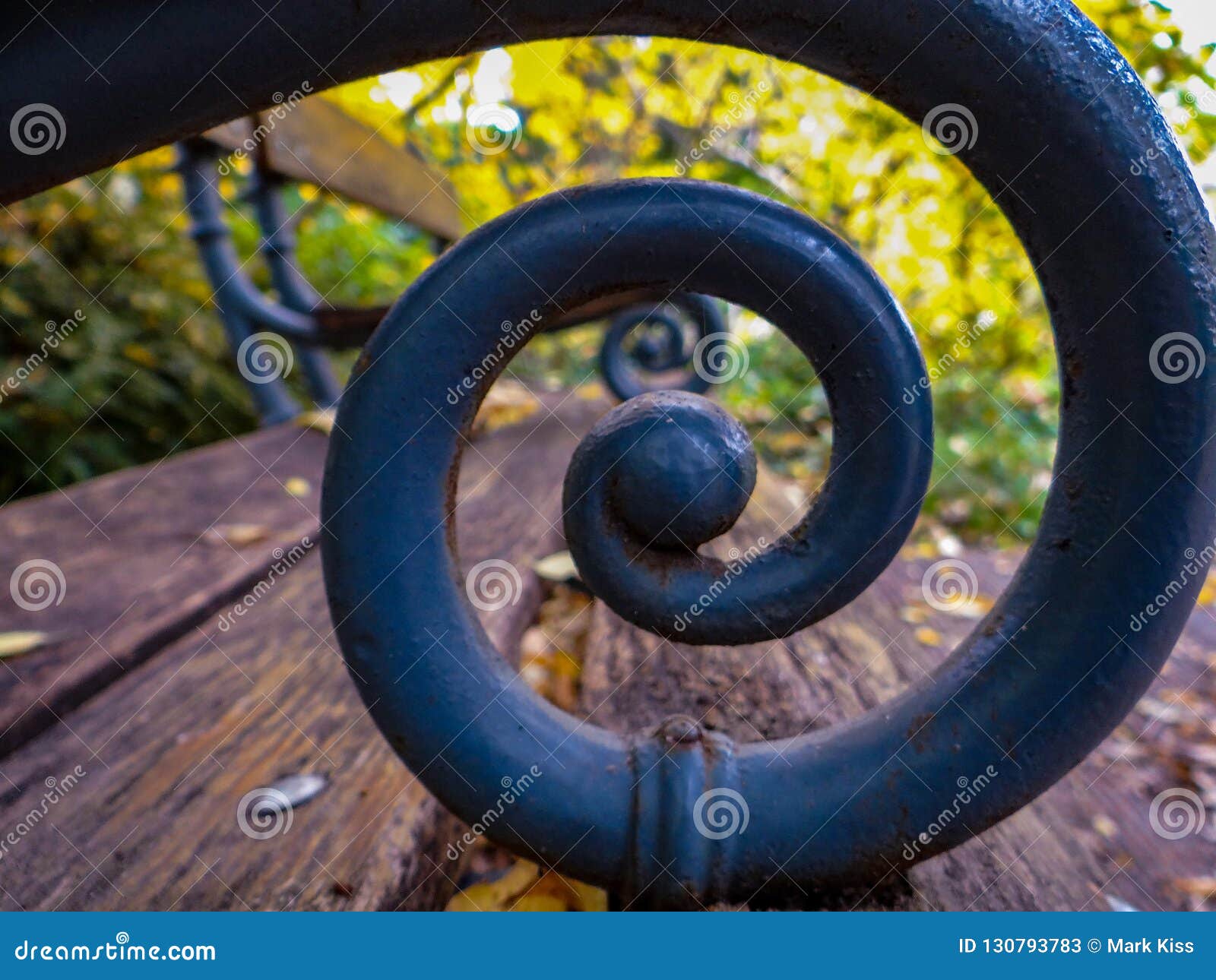 Spin in the nature stock image. Image of wood, green - 130793783