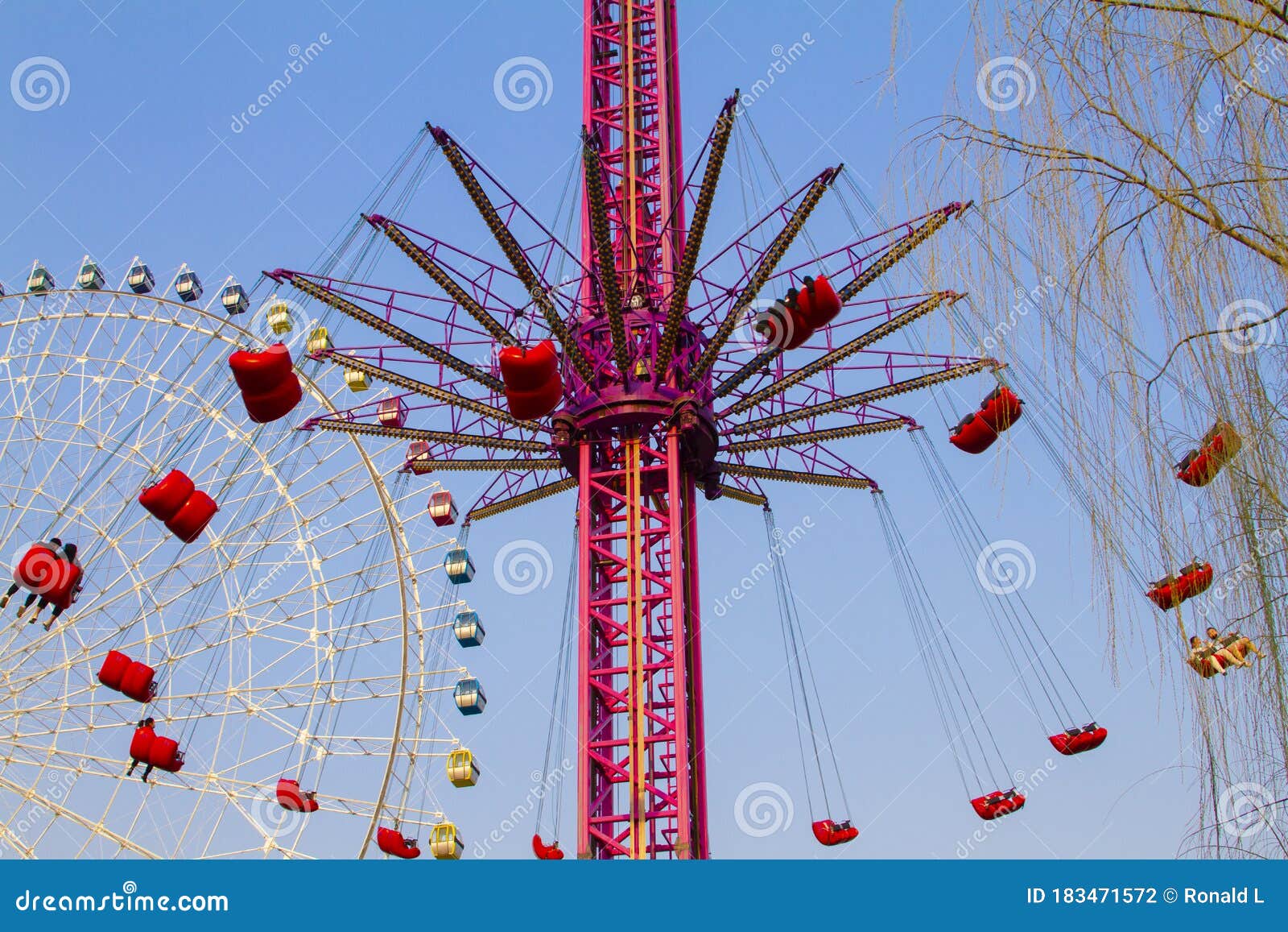Spin swings in the park stock photo. Image of golden - 183471572