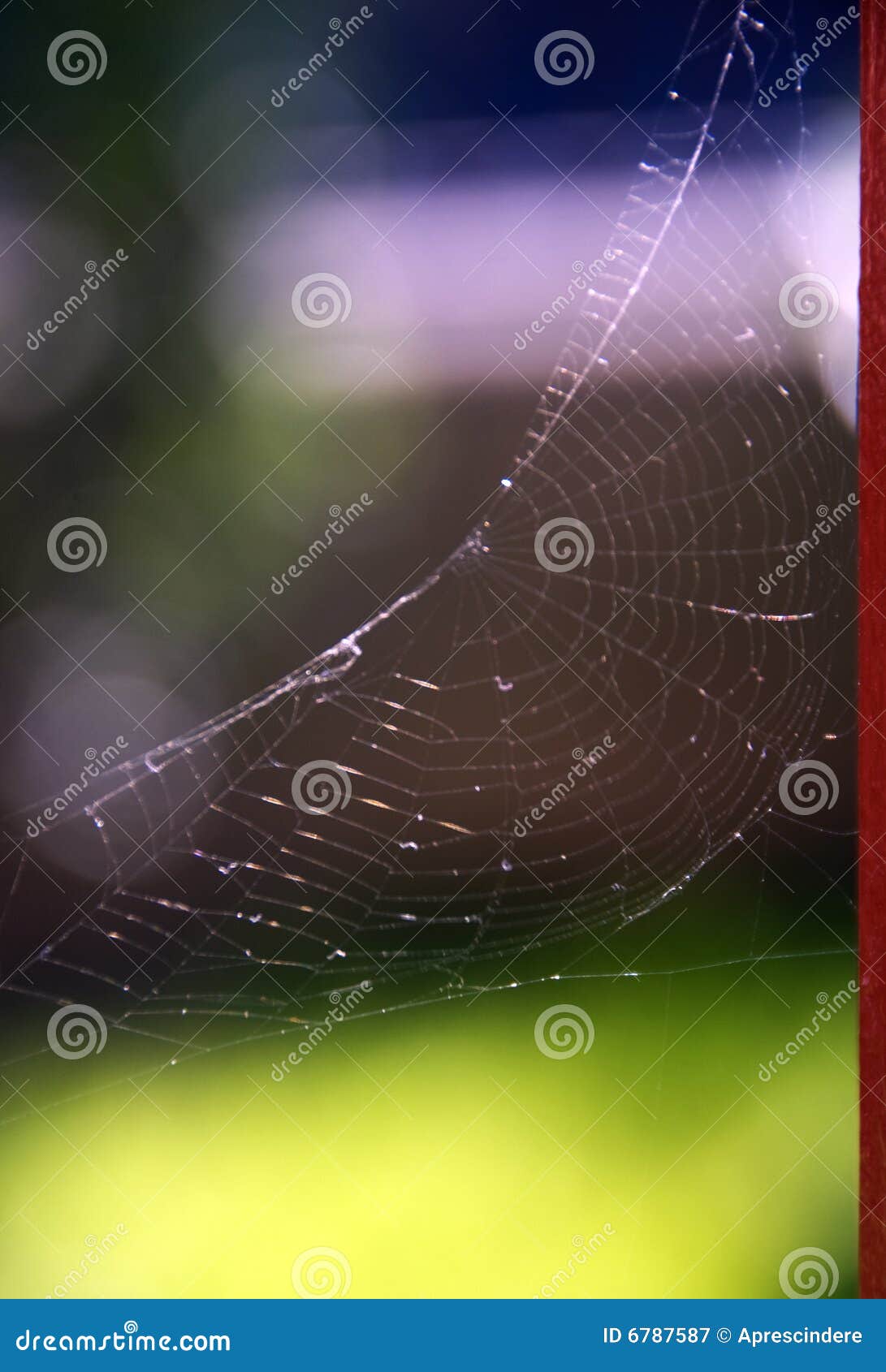 Spin-Web stock afbeelding. Image of centrum, hoog, verbonden - 6787587