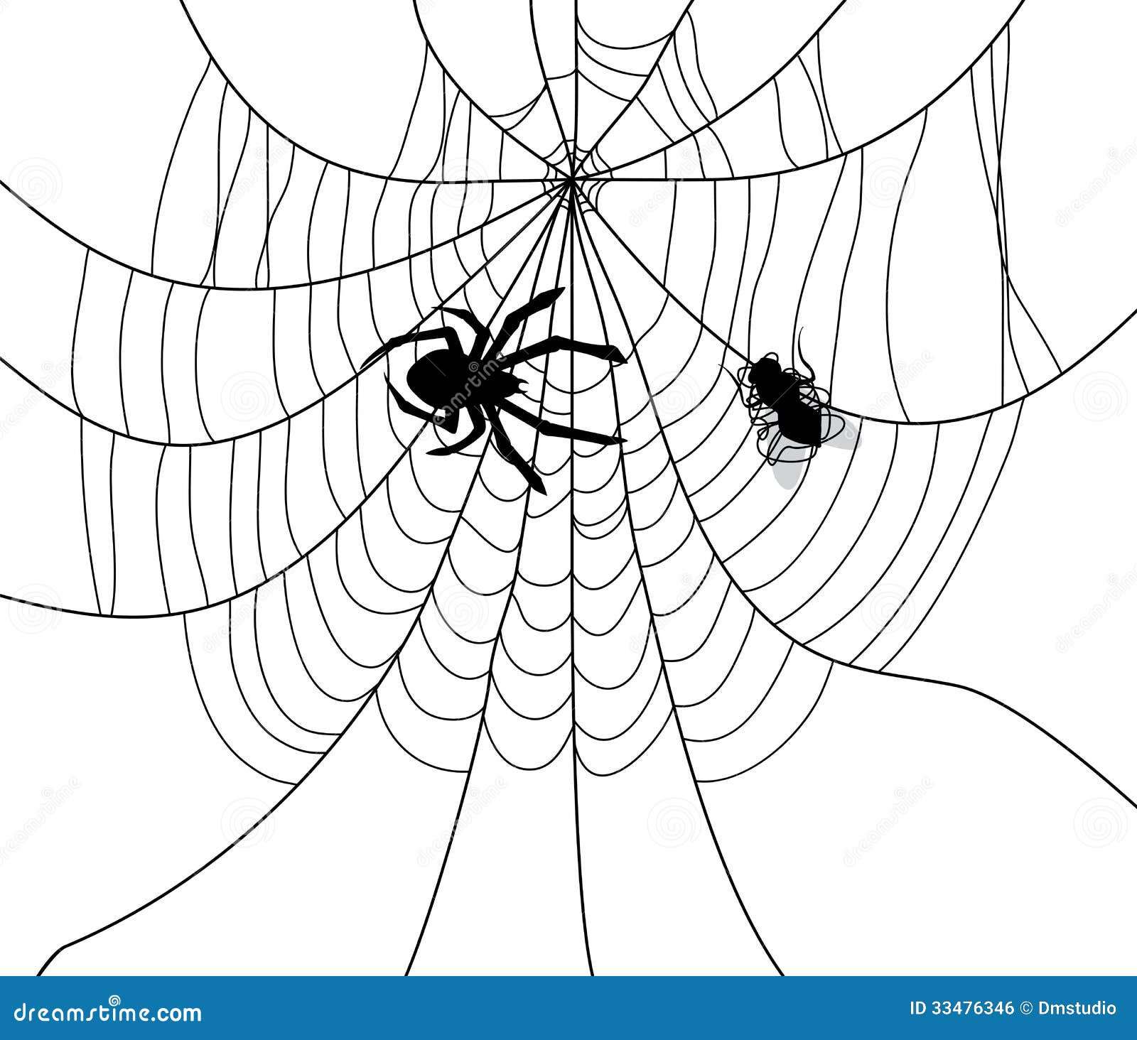 Spin, Web En Een Gevangen Vlieg Vector Illustratie - Illustration of ...