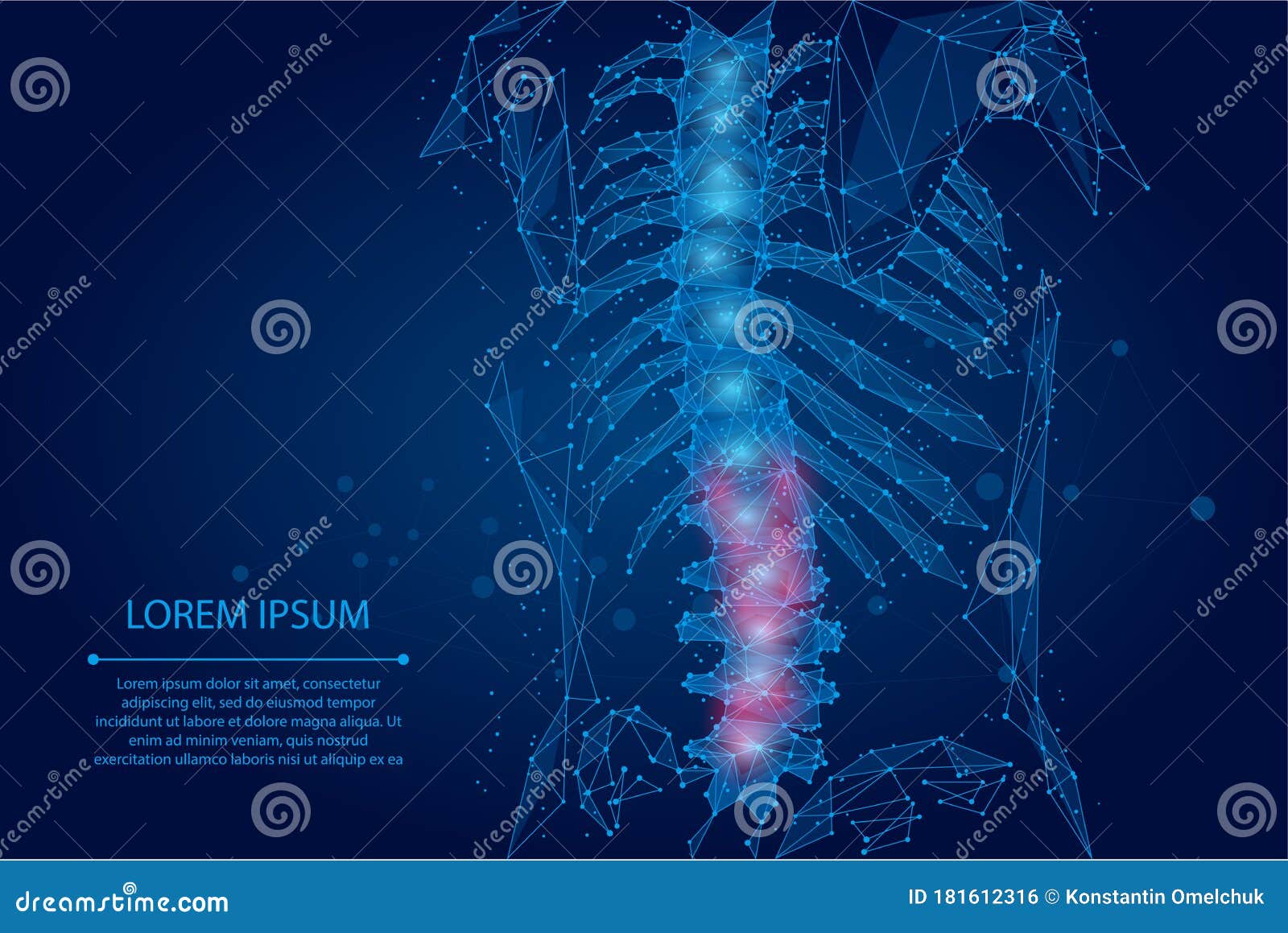 Abstract Mesh Line and Dot Physiotherapy Human Spine. Polygonal Render ...