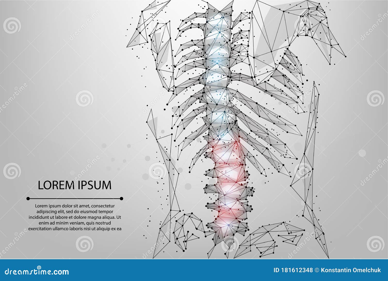 Abstract Mesh Line and Dot Physiotherapy Human Spine. Polygonal Render ...