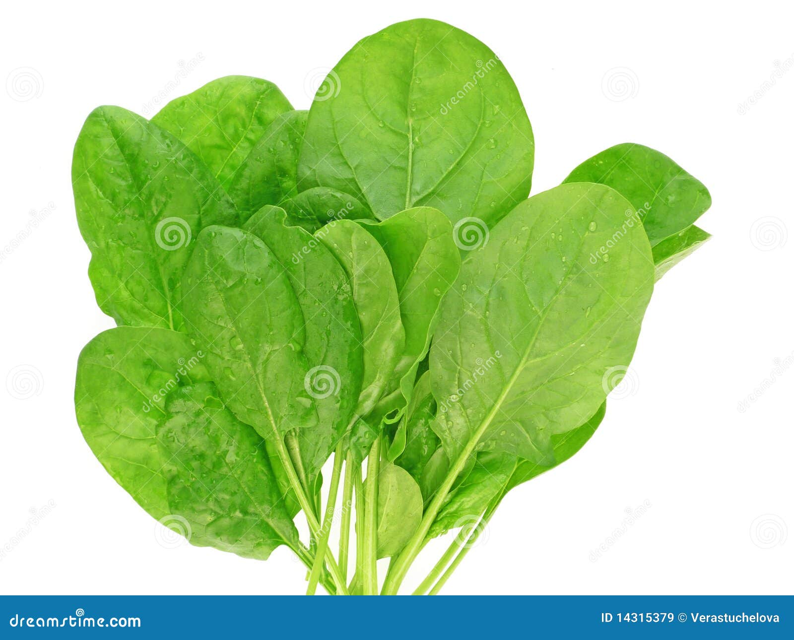 Spinach stock image. Image of ingredient, vegetable, health - 14315379