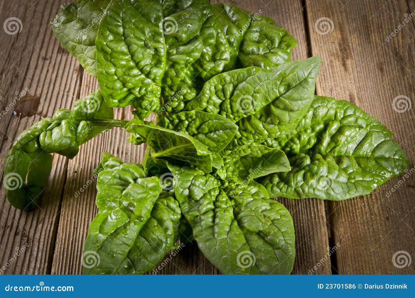 Spinach stock photo. Image of color, lettuce, fruit, leaves - 23701586