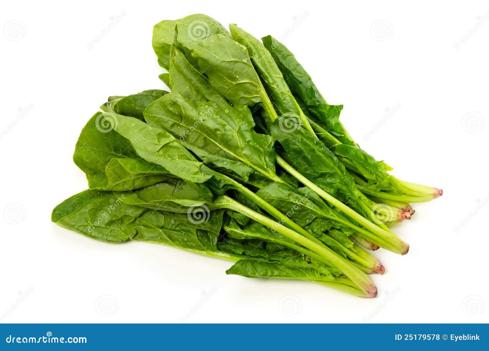 Spinach stock photo. Image of plant, organic, health - 25179578