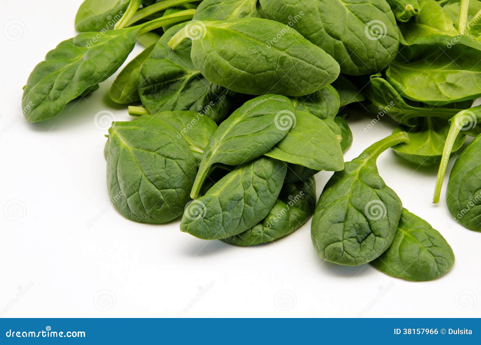 Spinach stock photo. Image of spinach, grass, delicatessen - 38157966