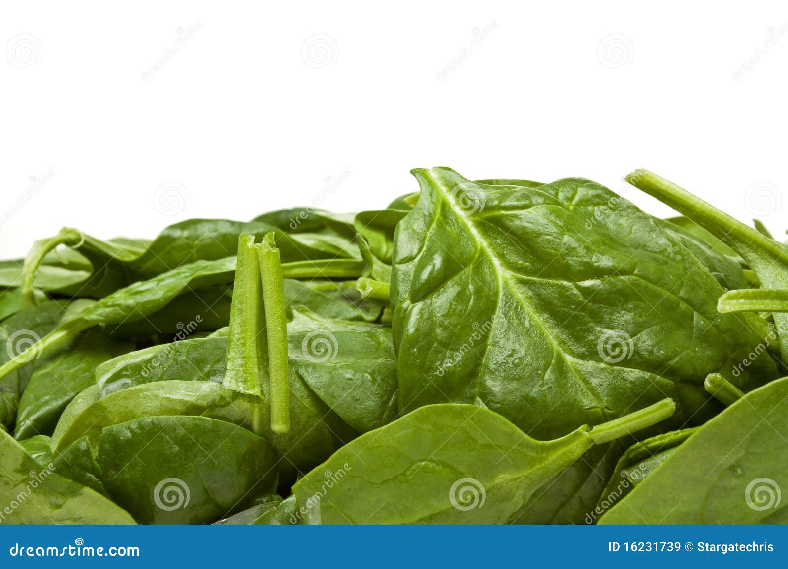Spinach Background stock image. Image of macro, long - 16231739
