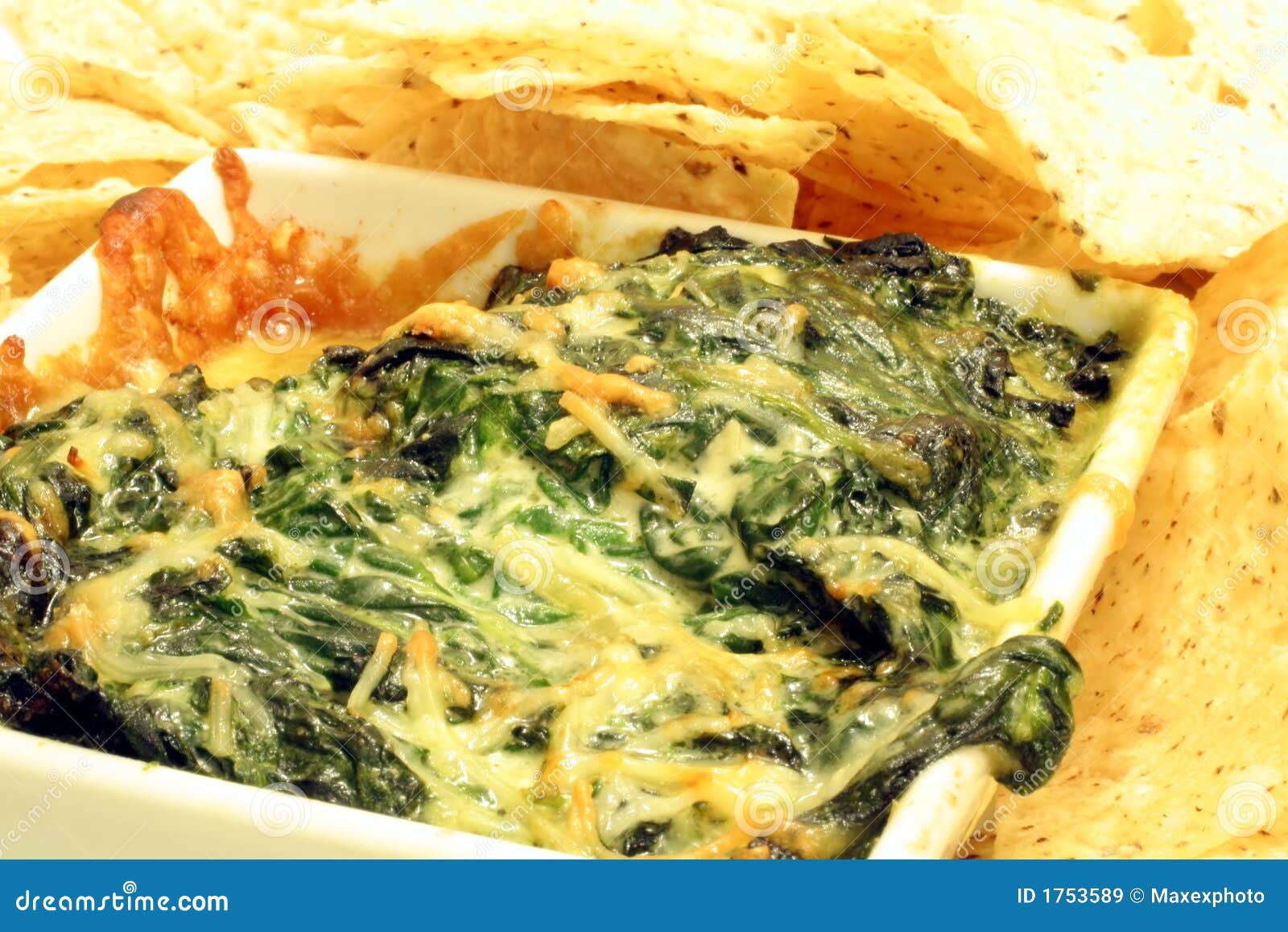 Spinach and Cheese Dip stock image. Image of blood, fondue - 1753589