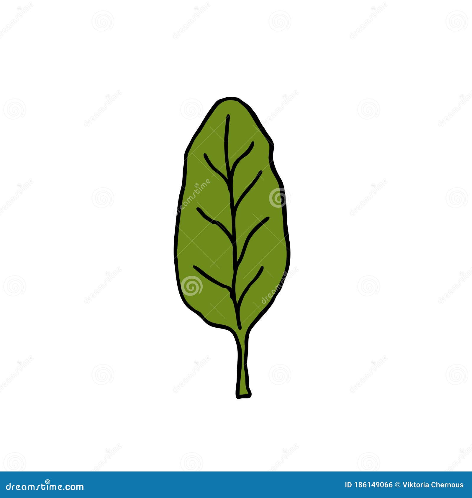 Spinach Doodle Icon, Vector Illustration Stock Illustration ...