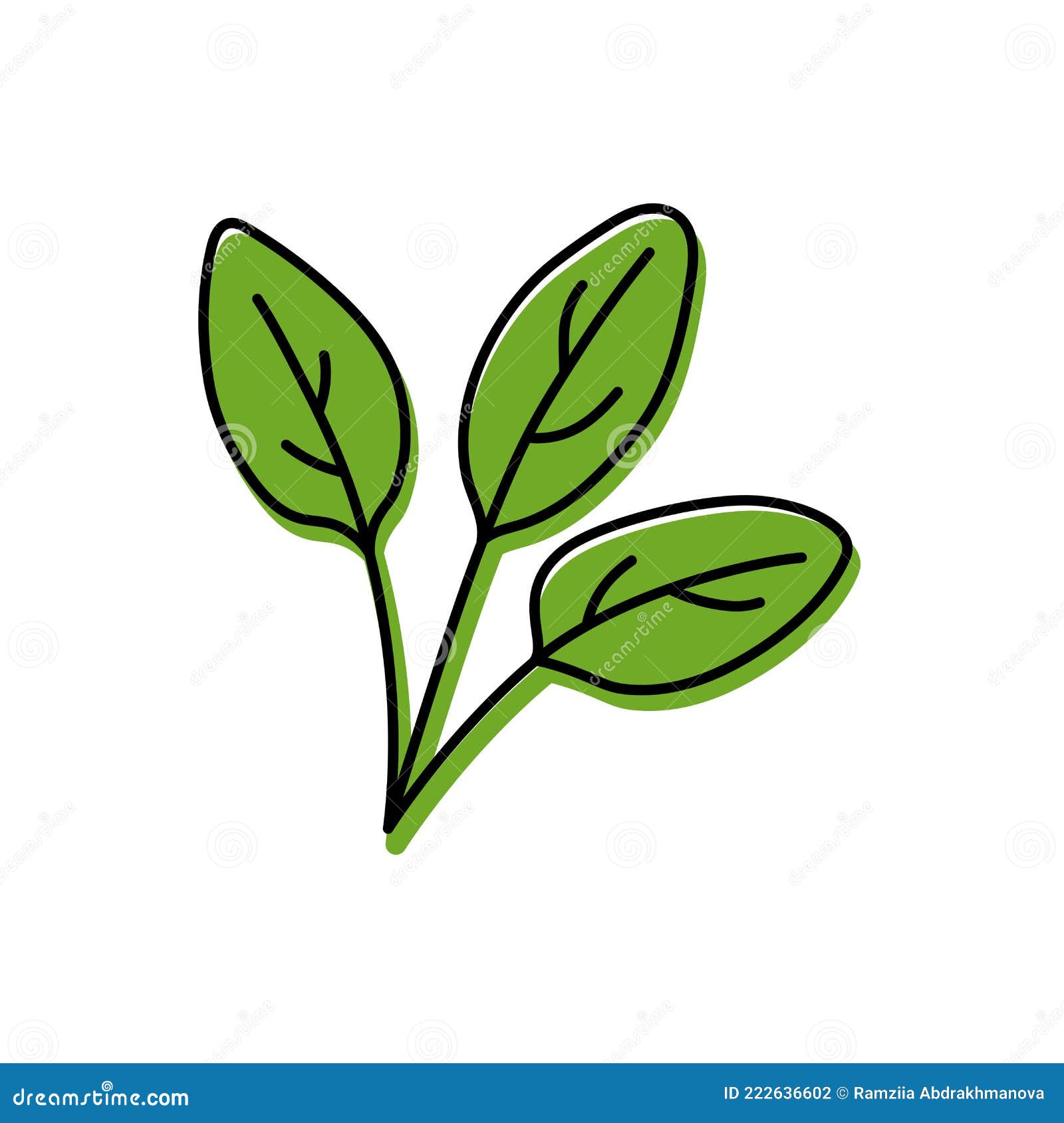 Spinach Herb. Vegetable Sketch. Color Simple Icon Stock Vector ...